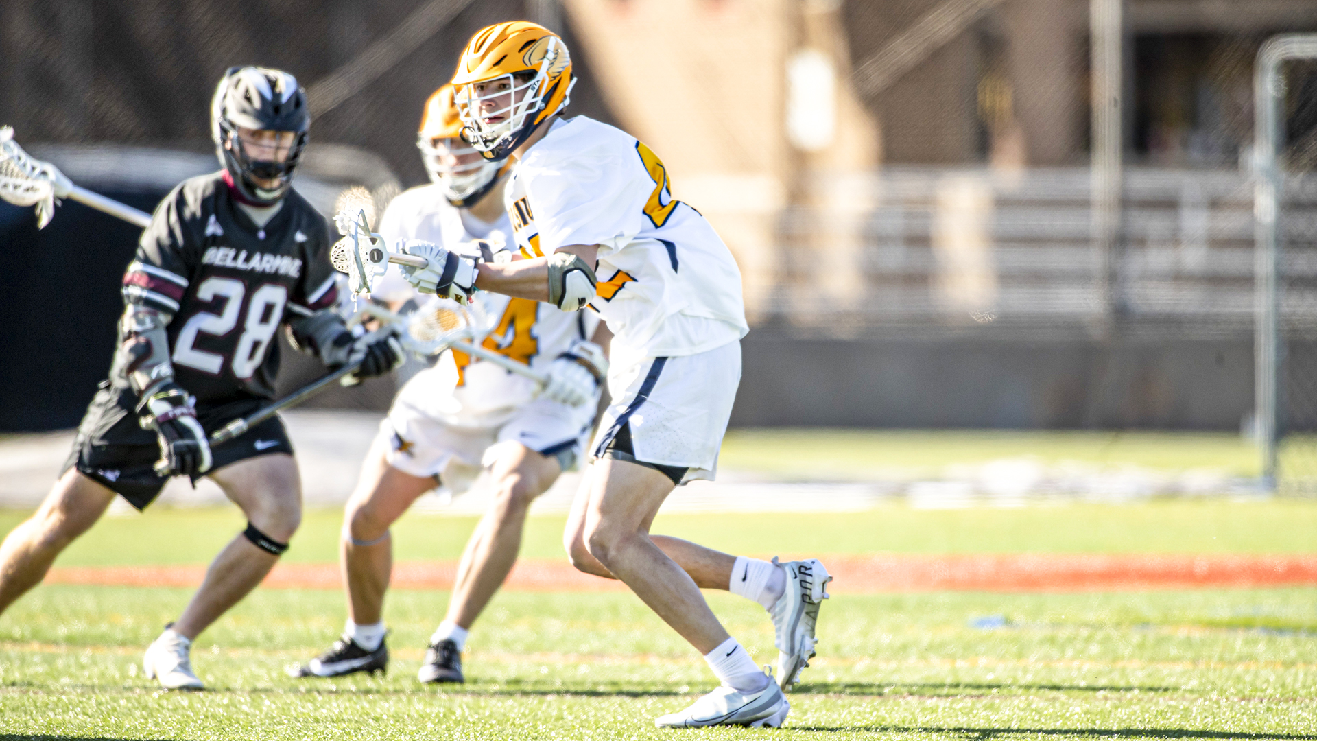 Chance Cook - Men's Lacrosse - Canisius University Athletics