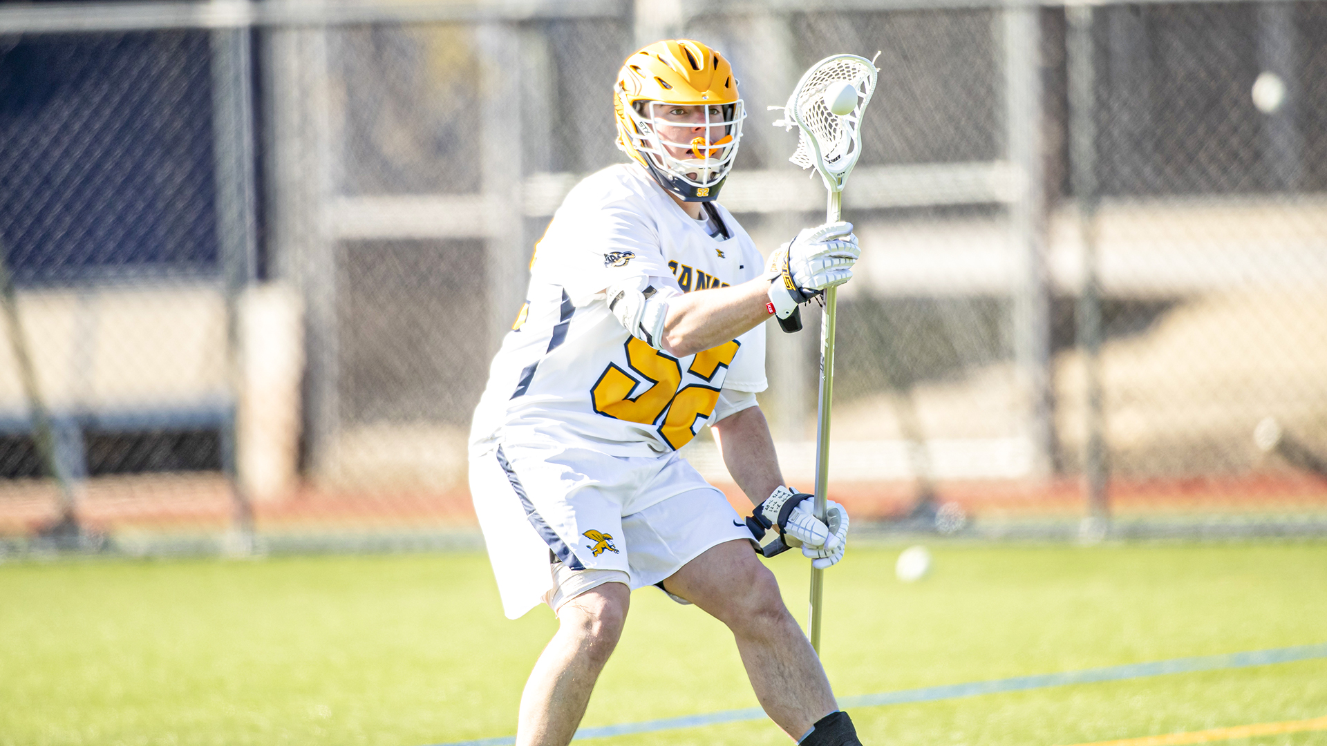 Paul Medrick - Men's Lacrosse - Canisius University Athletics