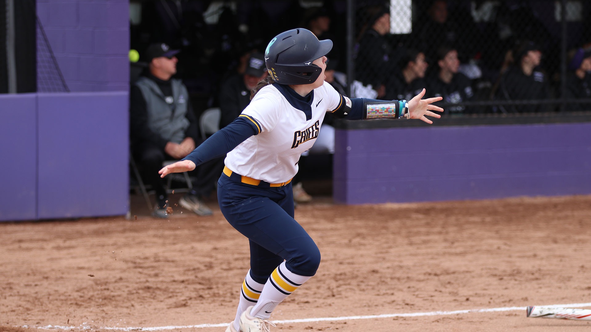 Rylee Alfaro - Softball - Canisius University Athletics