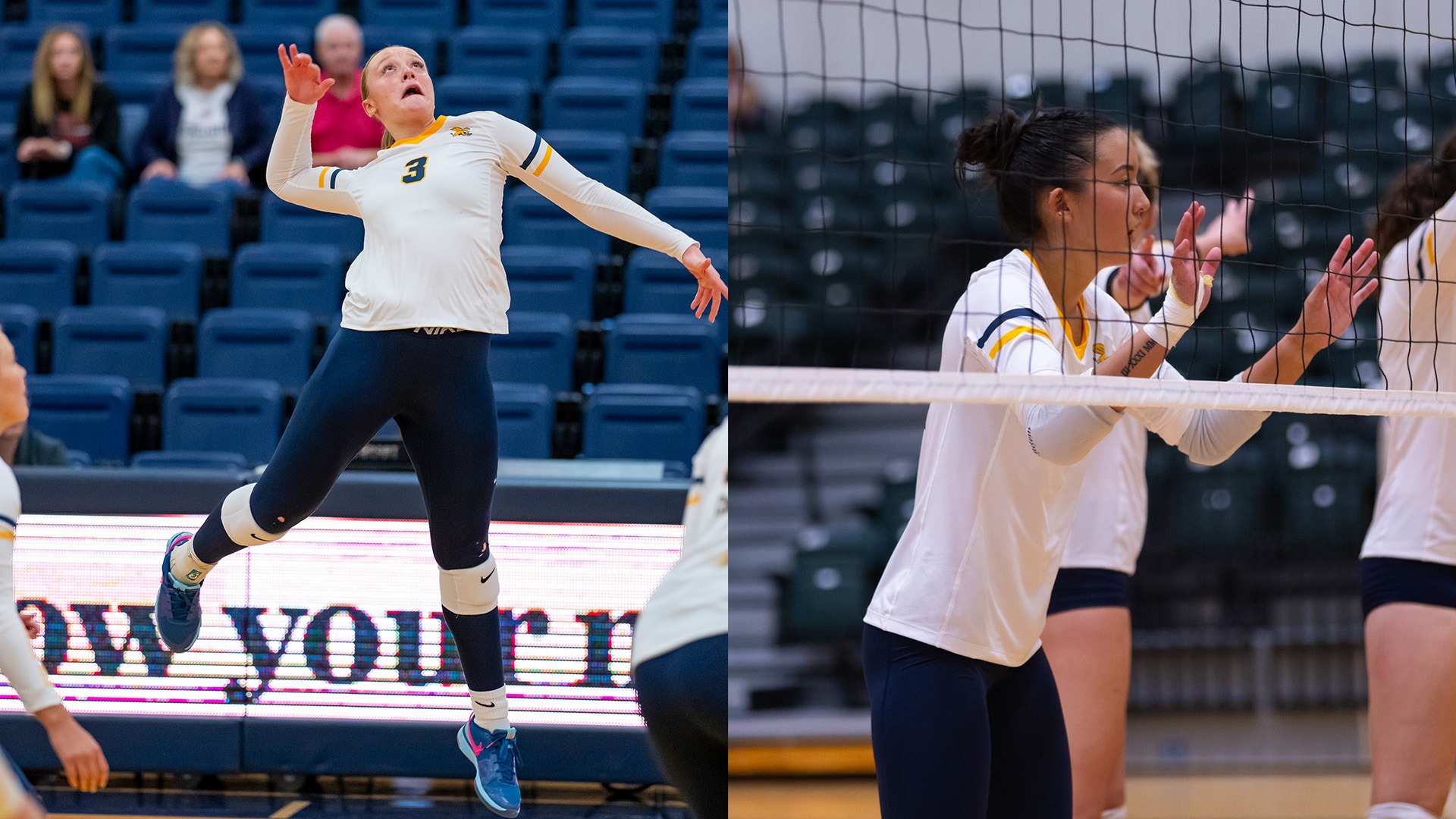 Volleyball Clinches 18th MAAC Championship Berth - Canisius University ...