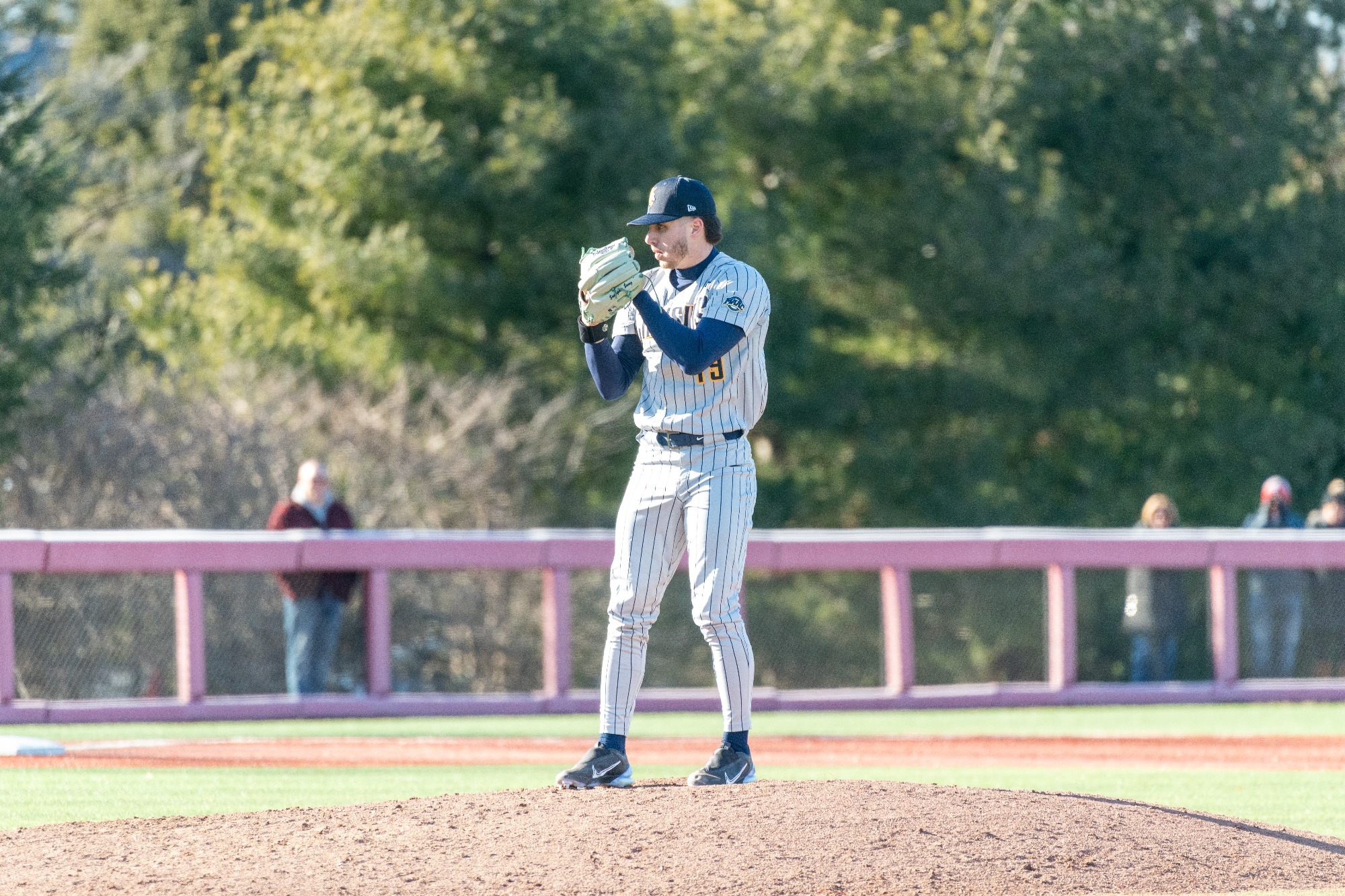 Tom Peltier - Baseball - Canisius University Athletics
