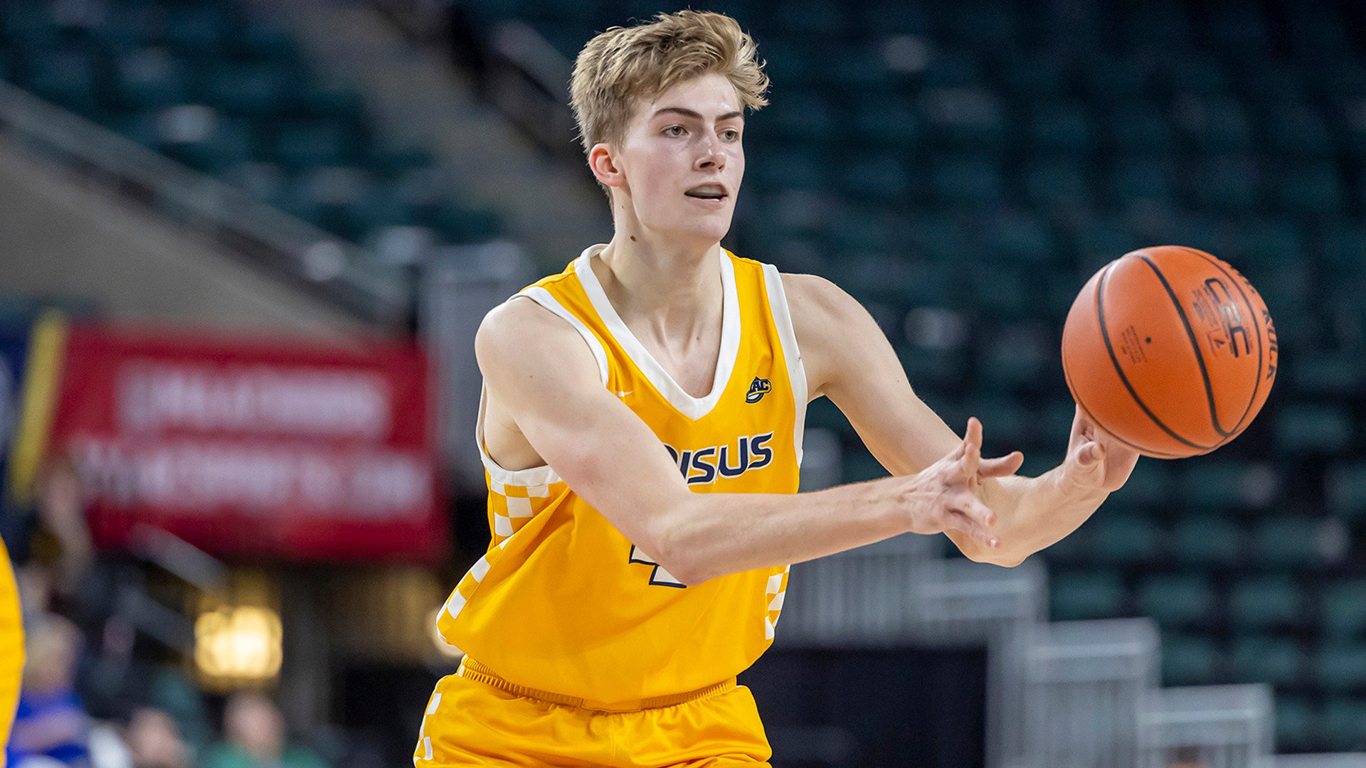 Youri Fritz - Men's Basketball - Canisius University Athletics