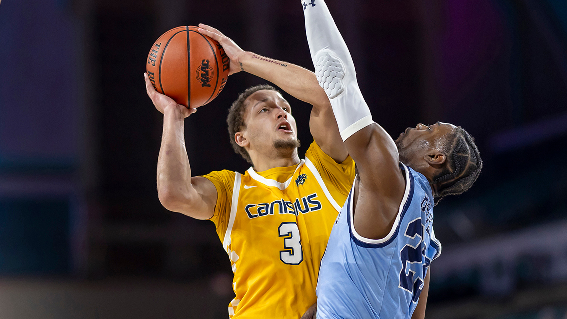 Cam Palesse - Men's Basketball - Canisius University Athletics
