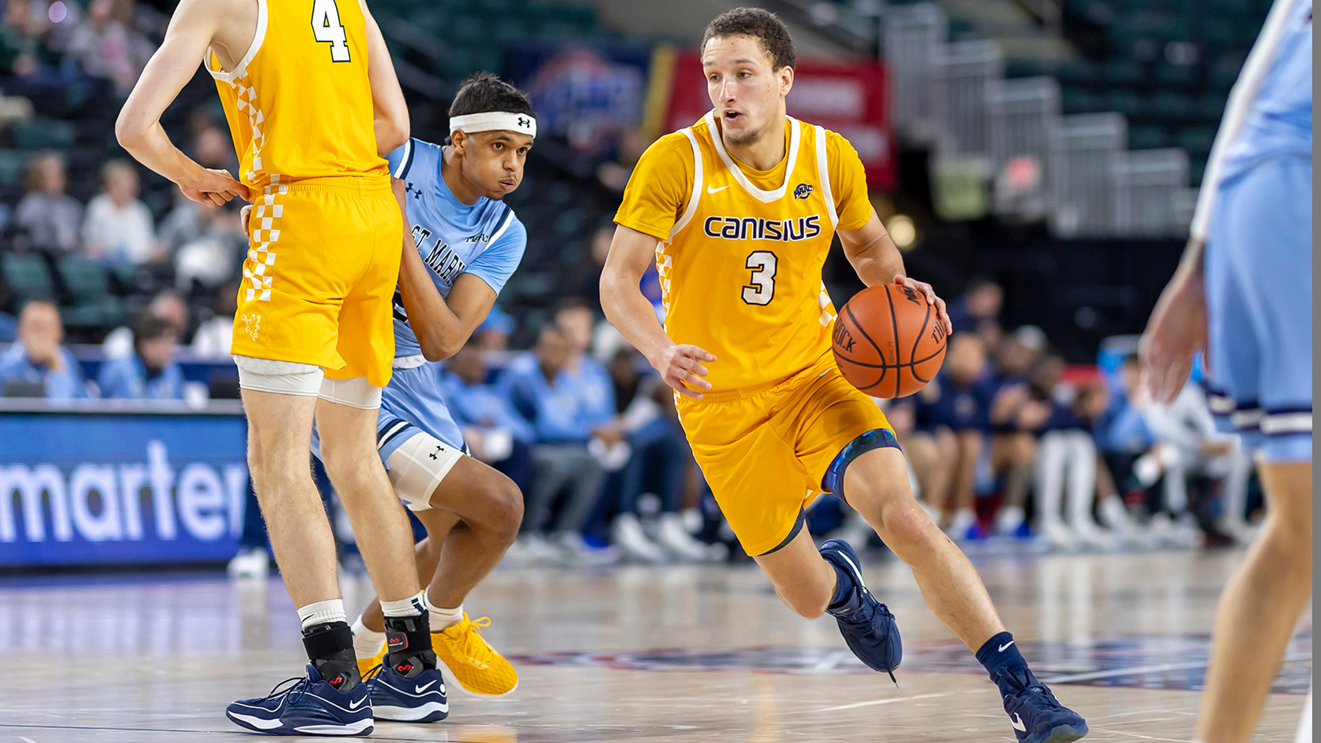 Cam Palesse - Men's Basketball - Canisius University Athletics