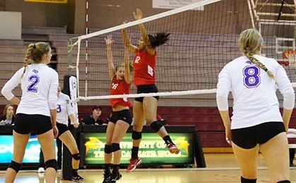 Elizabeth Soukup - Women's Volleyball - University of the Incarnate ...