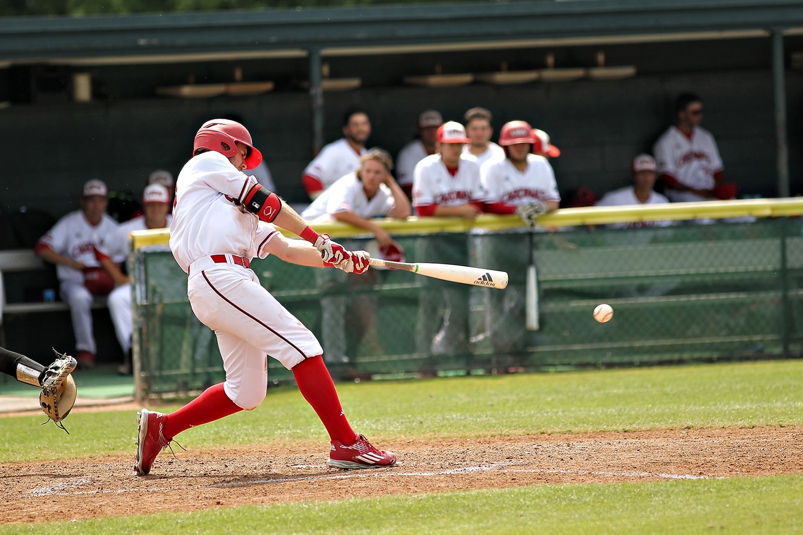Tanner Wall - Baseball - University of the Incarnate Word Athletics