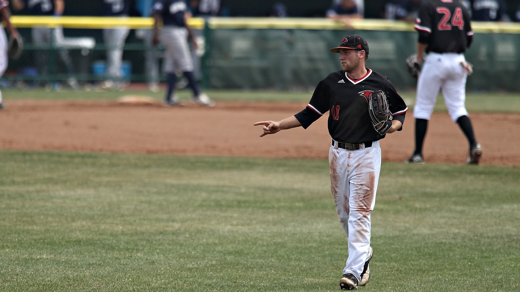 Mark Whitehead - Baseball - University of the Incarnate Word Athletics