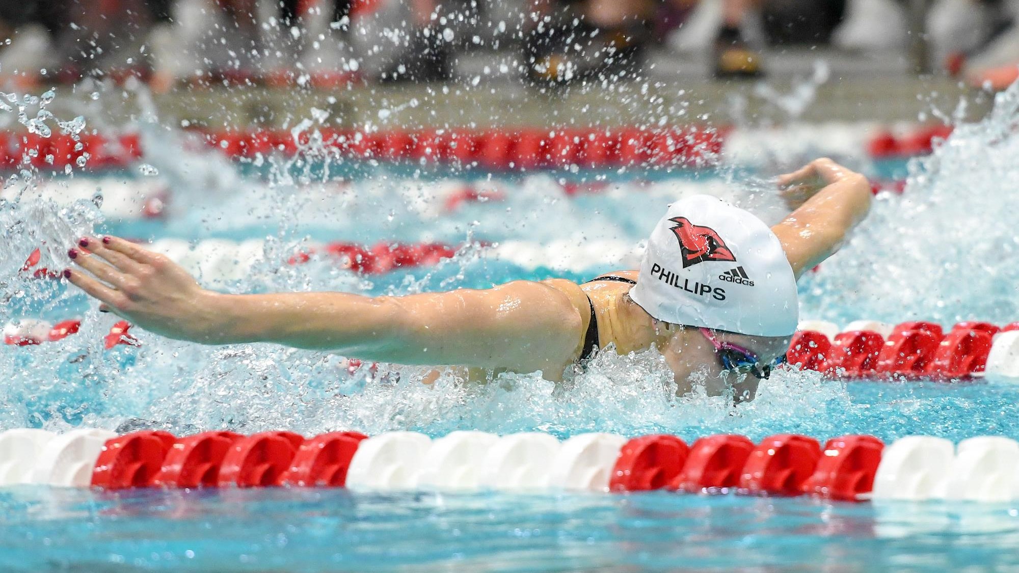 Cassandra Phillips - Women's Swimming and Diving - University of the ...
