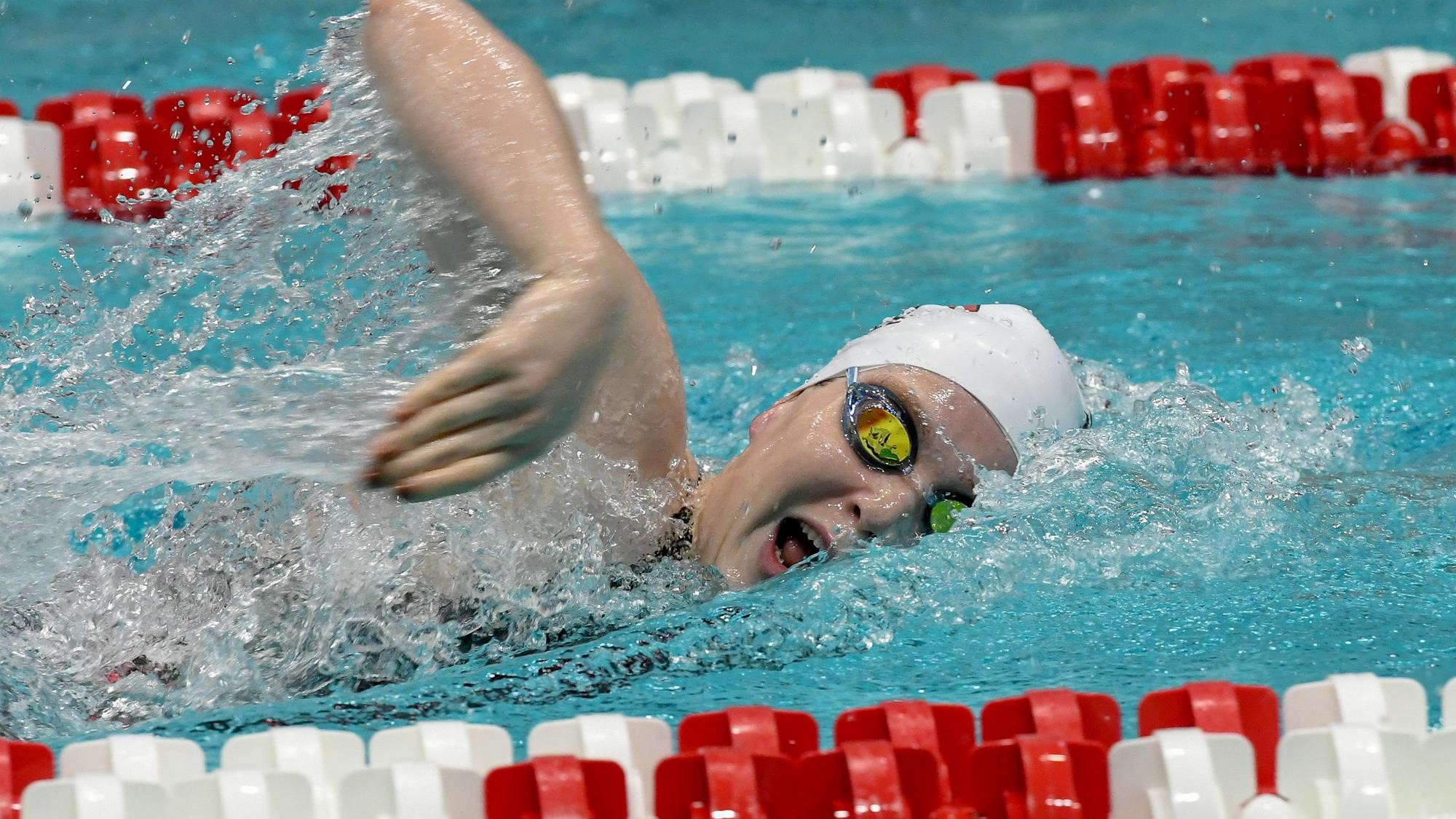 Taylor Steele - Women's Swimming and Diving - University of the ...