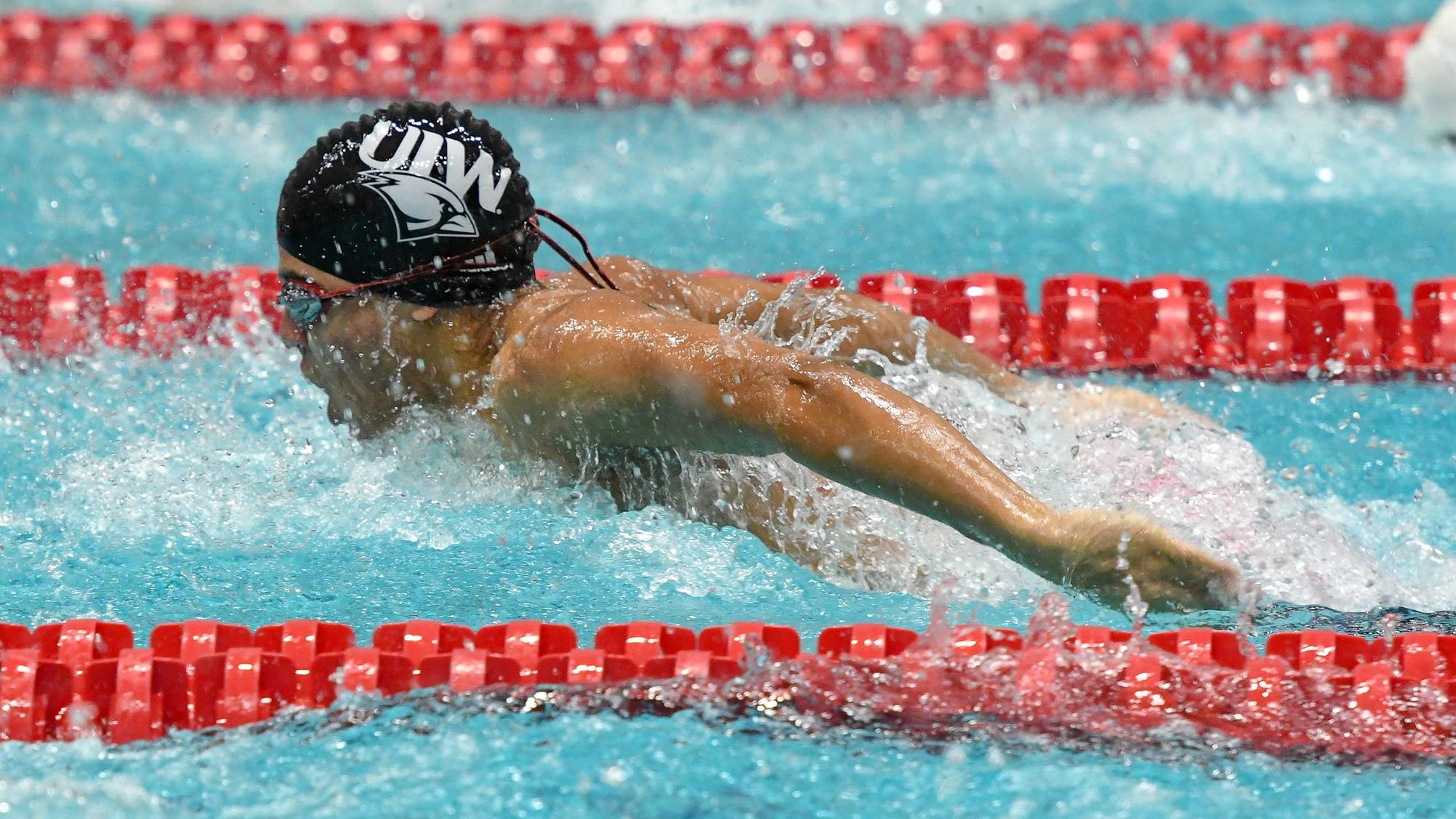 Kevin Alvarez - Men's Swimming and Diving - University of the Incarnate ...