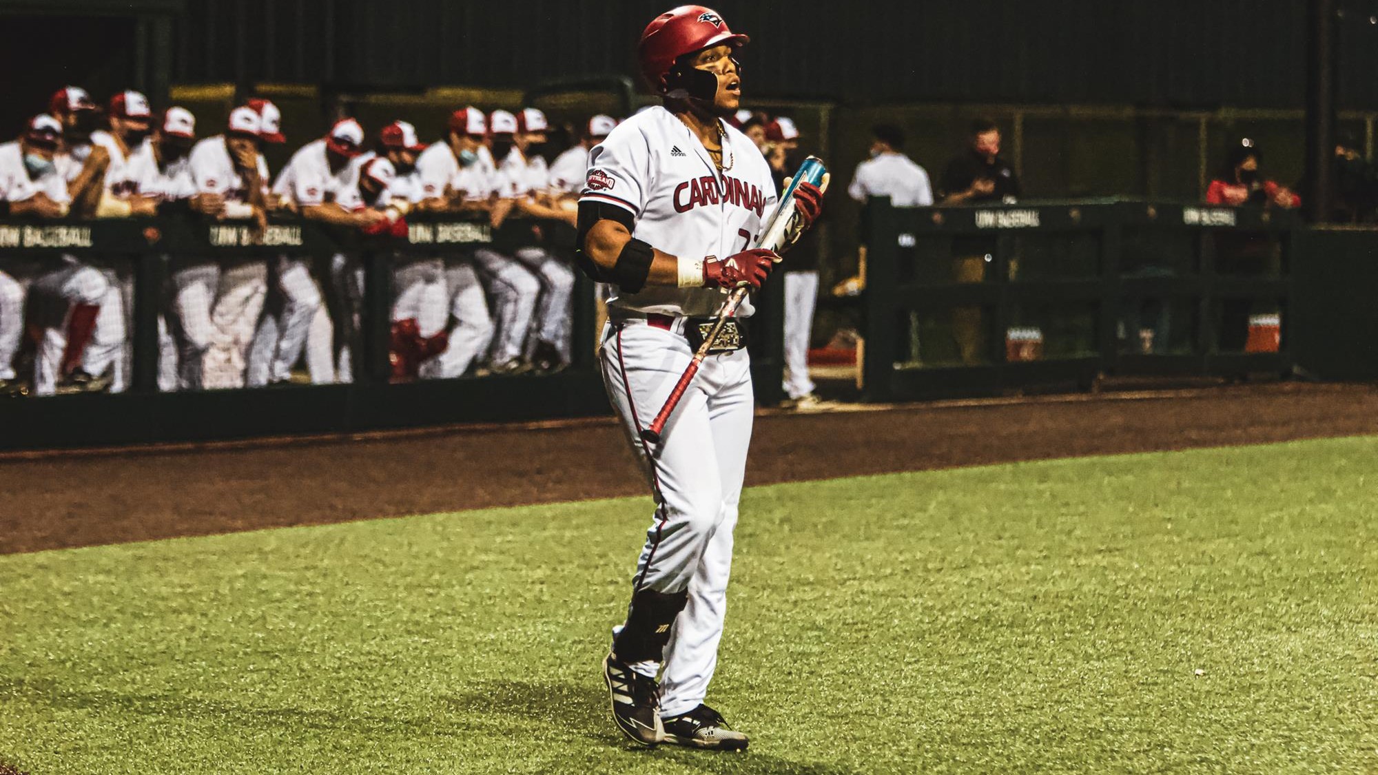 Lee University Tn Baseball