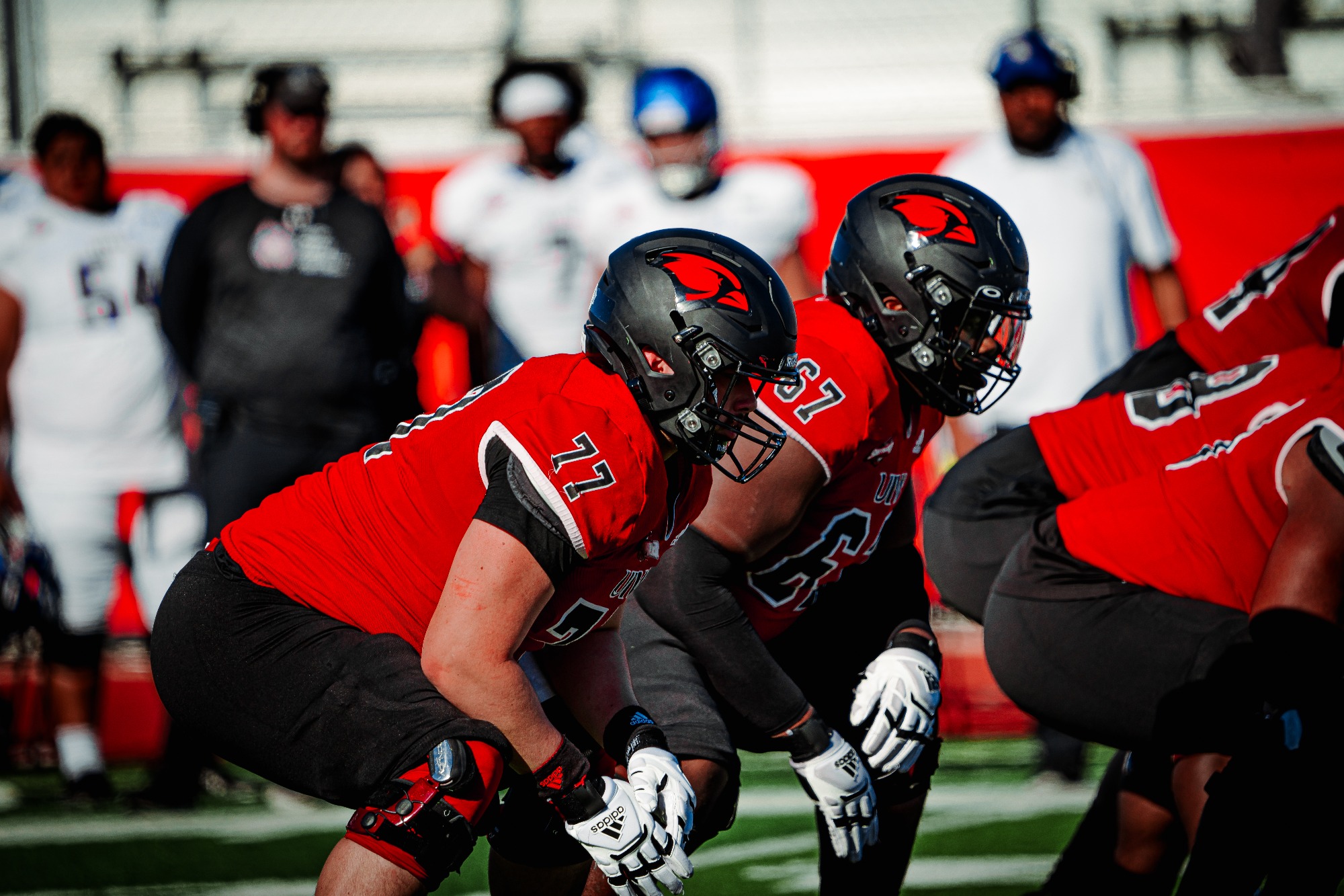 Jayden Borjas - Football - University of the Incarnate Word Athletics