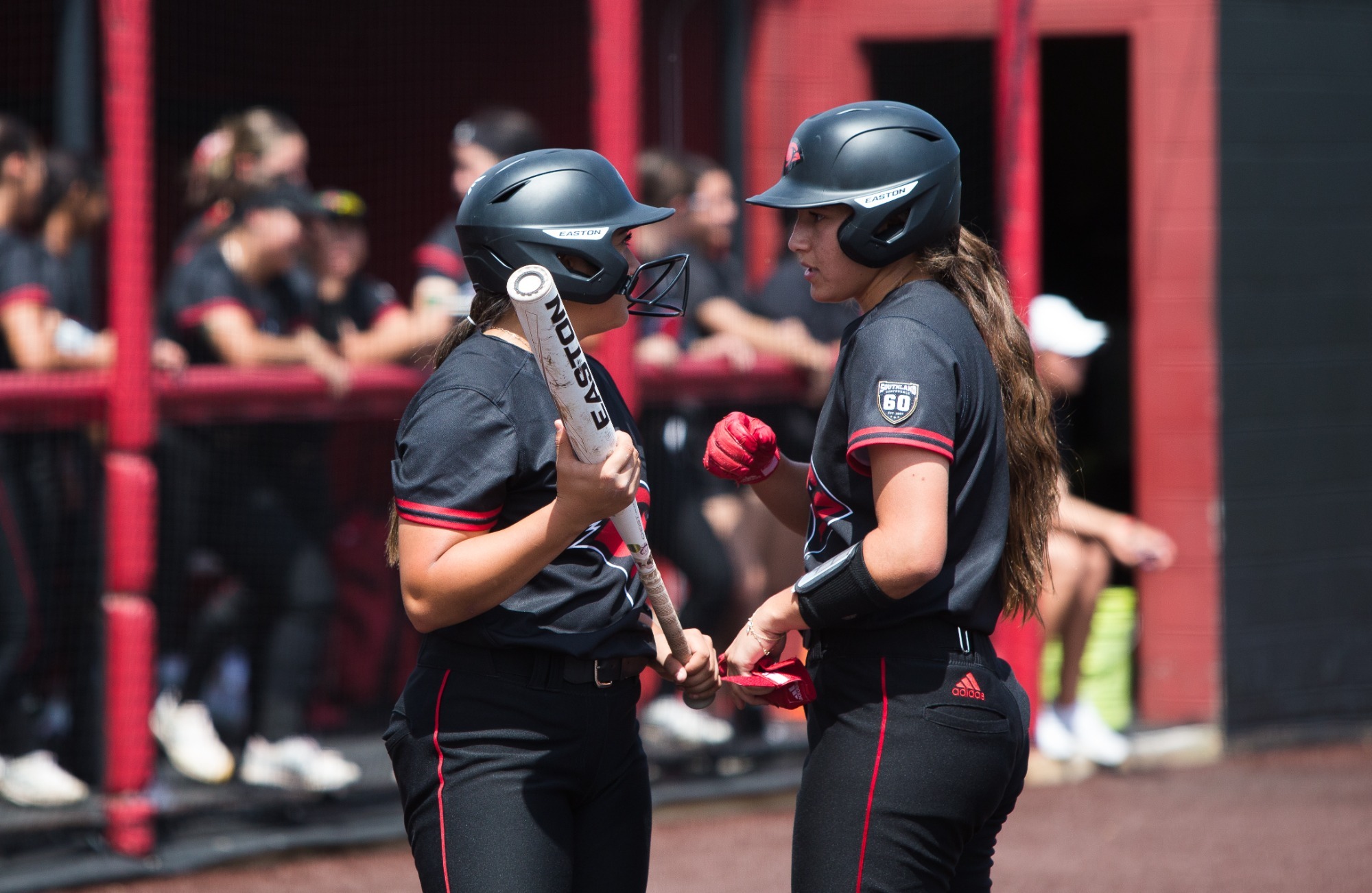 Softball Falls at PVAMU, Prepares to Host NSU - University of the ...