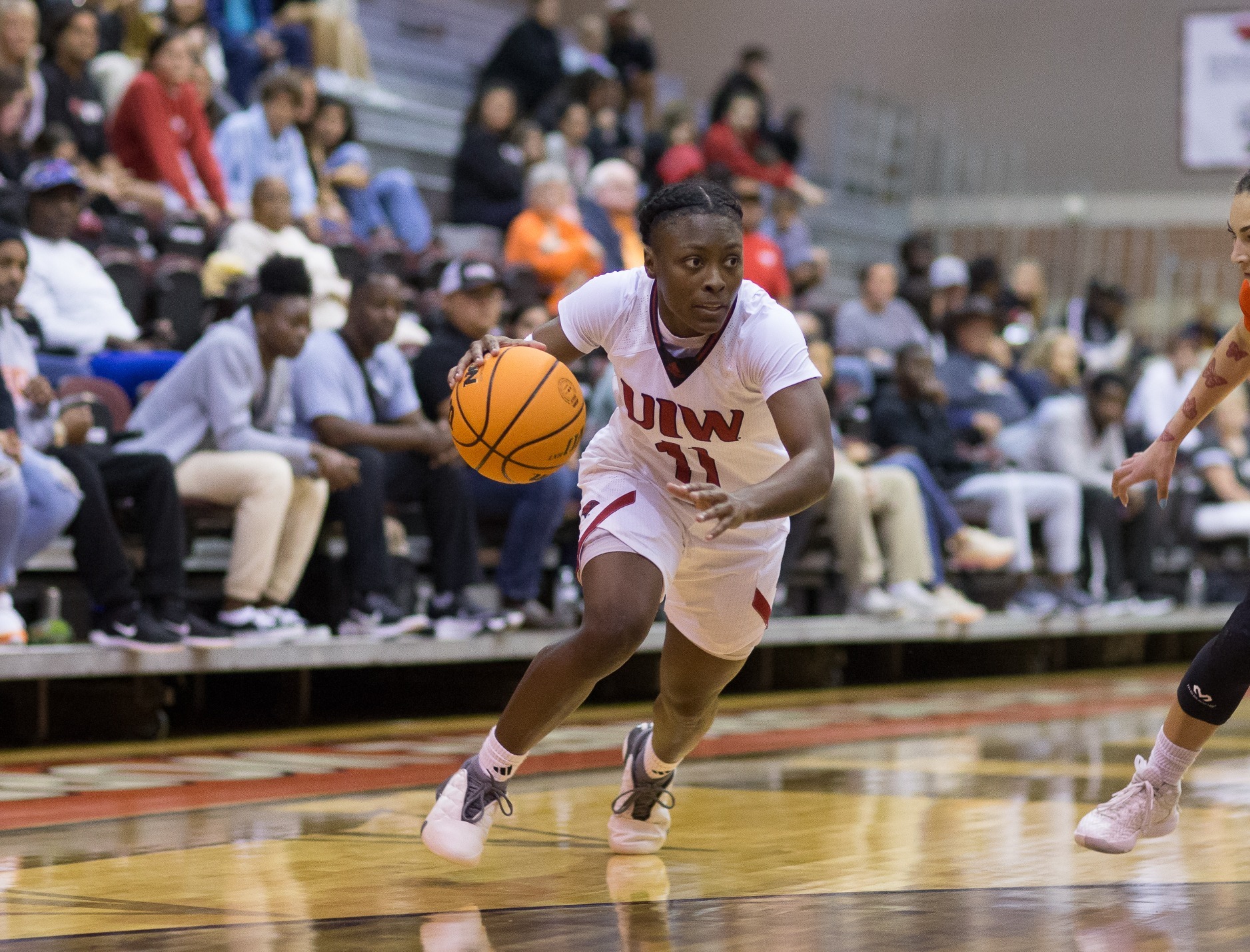 Women’s Basketball Outlasts the Lions Behind Multiple Scoring Threats ...