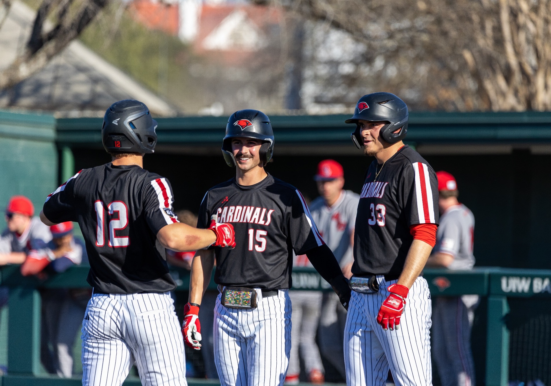 Cameron Caley - Baseball - University of the Incarnate Word Athletics