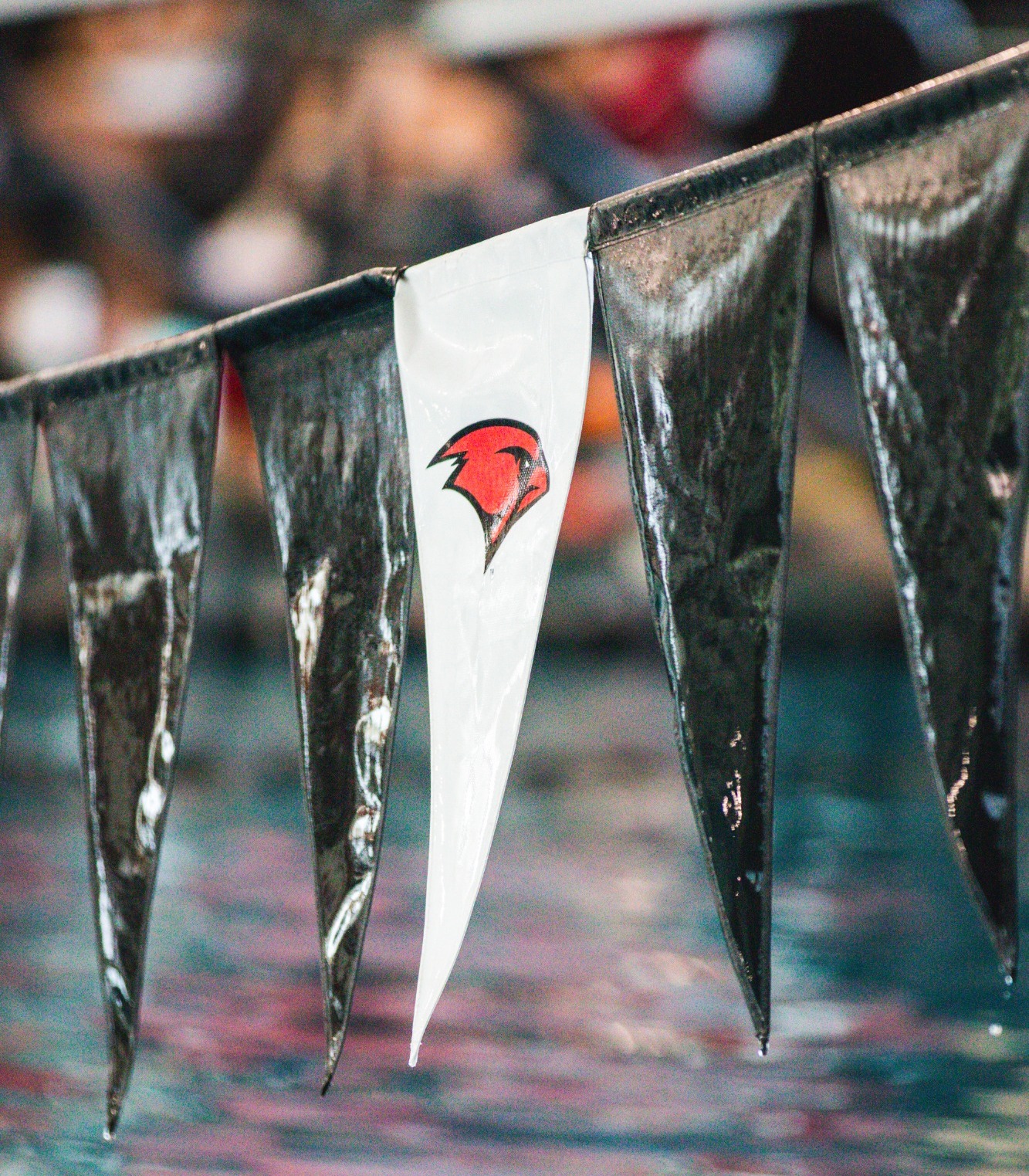 Swim & Dive Lands Earns 35 Spots on MPSF All-Academic Team - University ...