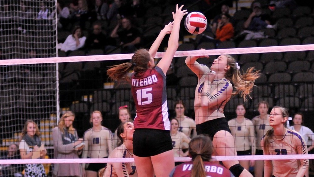 Brielle Bumgarner - 2018 - Women's Volleyball - Carroll College Athletics