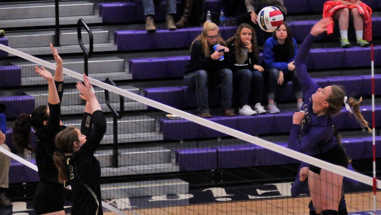 Brielle Bumgarner - 2018 - Women's Volleyball - Carroll College Athletics