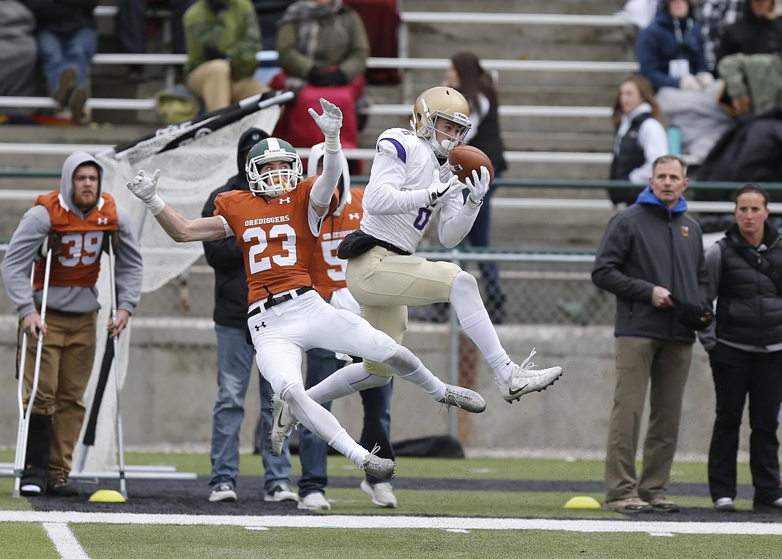Shane Sipes - 2019 - Football - Carroll College Athletics