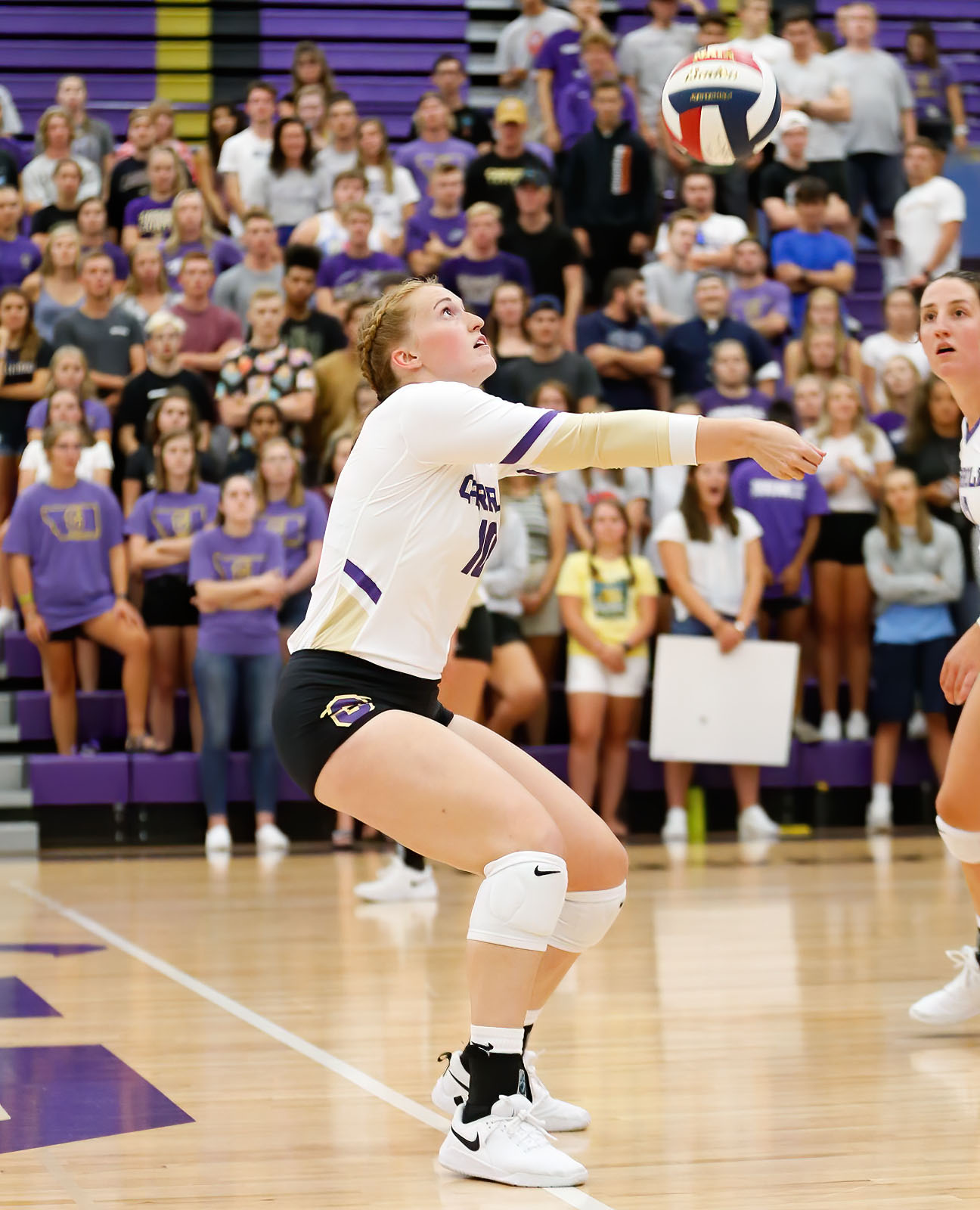 Ali Williams - 2020-21 - Women's Volleyball - Carroll College Athletics