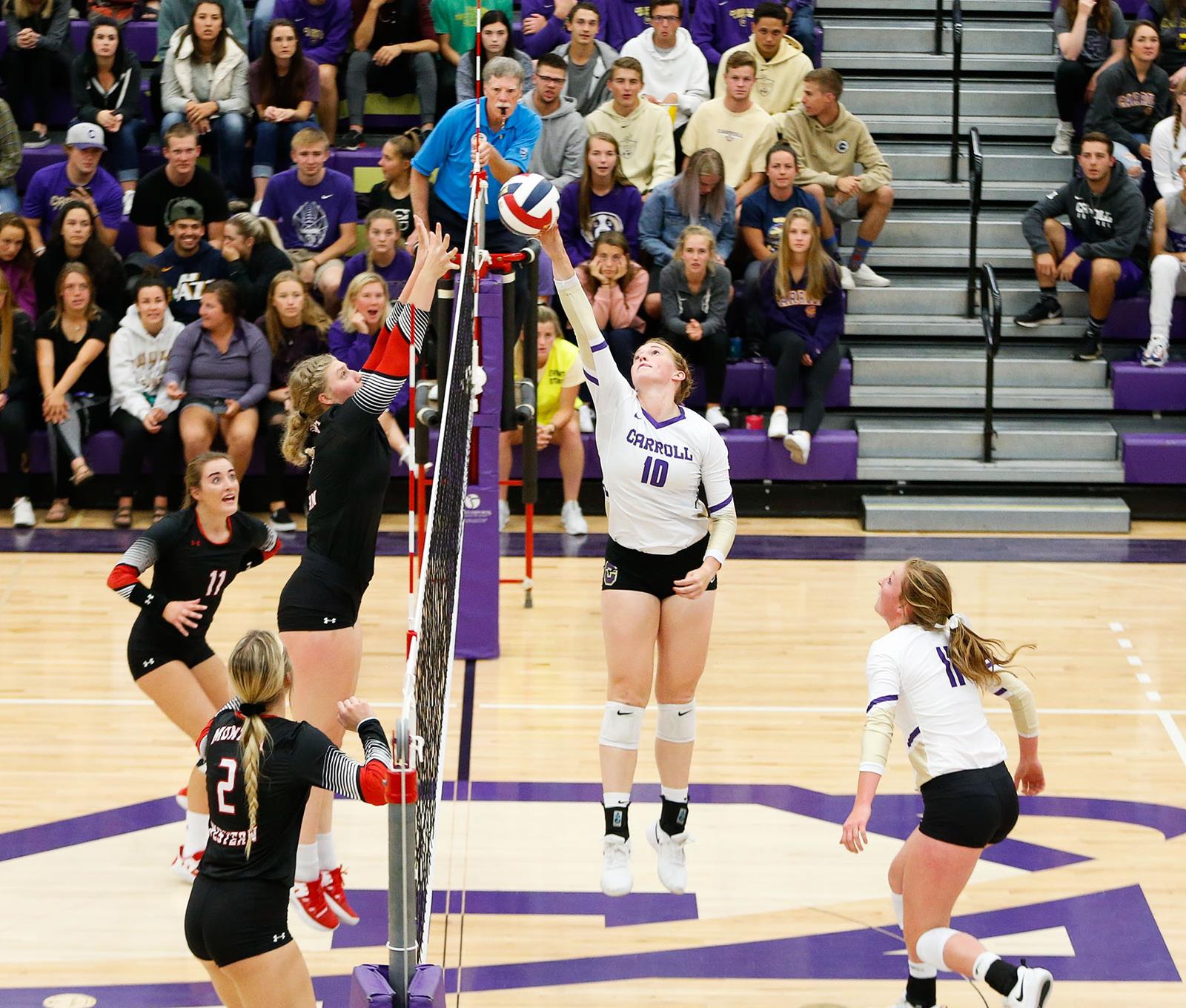 Ali Williams - 2020-21 - Women's Volleyball - Carroll College Athletics