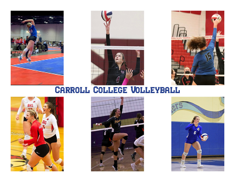 Carroll Volleyball announces second group of 2021 signees - Carroll ...