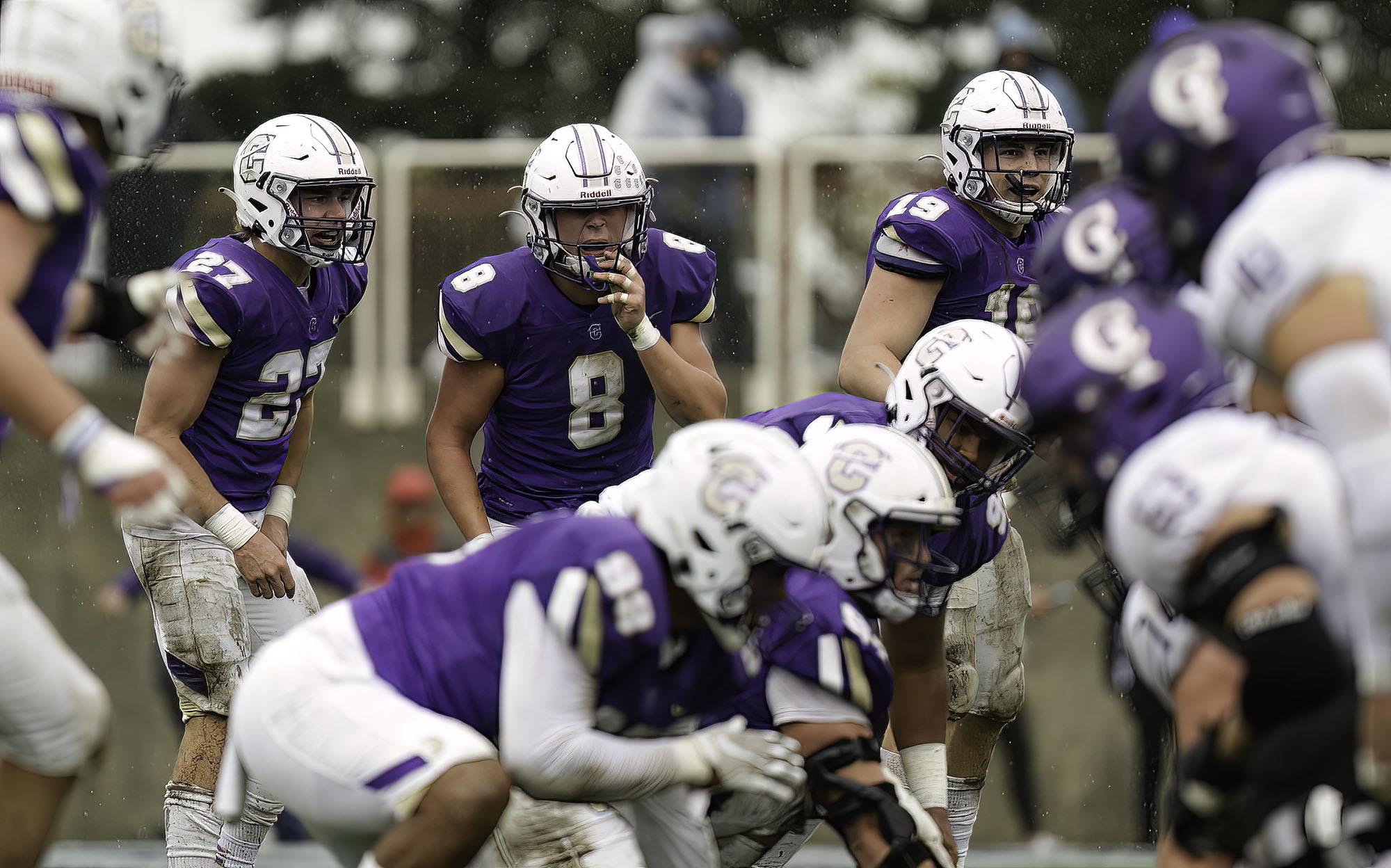 Colin Sassano - 2022 - Football - Carroll College Athletics