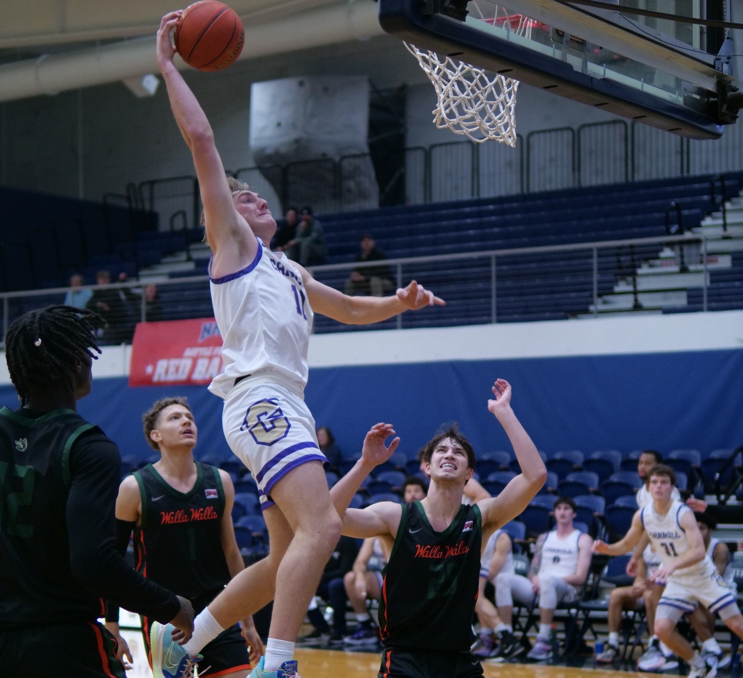 Andrew Cook - 2023-24 - Men's Basketball - Carroll College Athletics