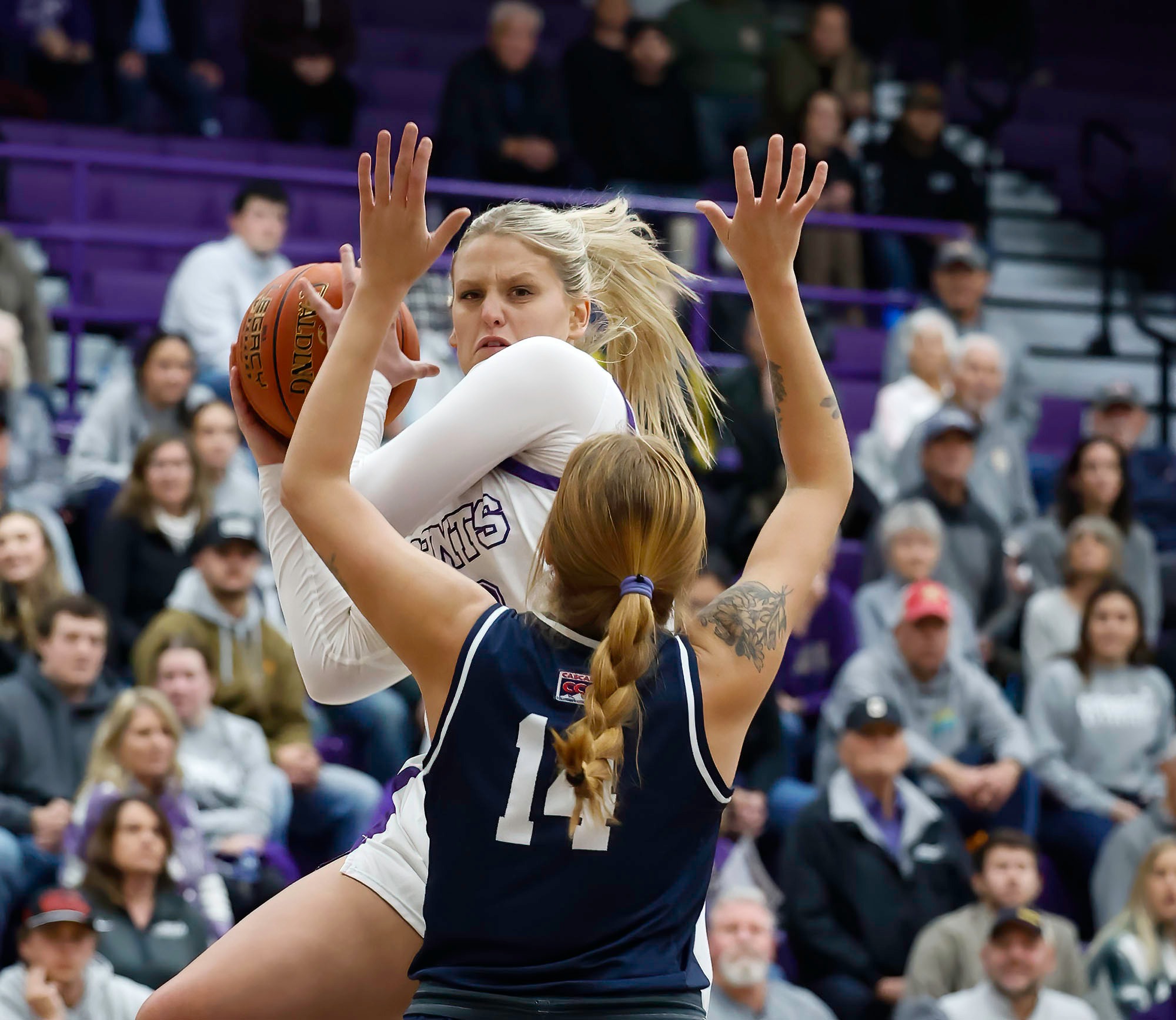 Jamie Pickens - 2023-24 - Women's Basketball - Carroll College Athletics