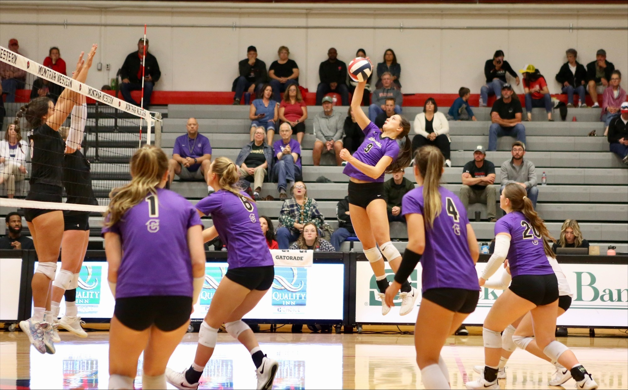 Carroll Volleyball Stumbles at Montana Western - Carroll College Athletics