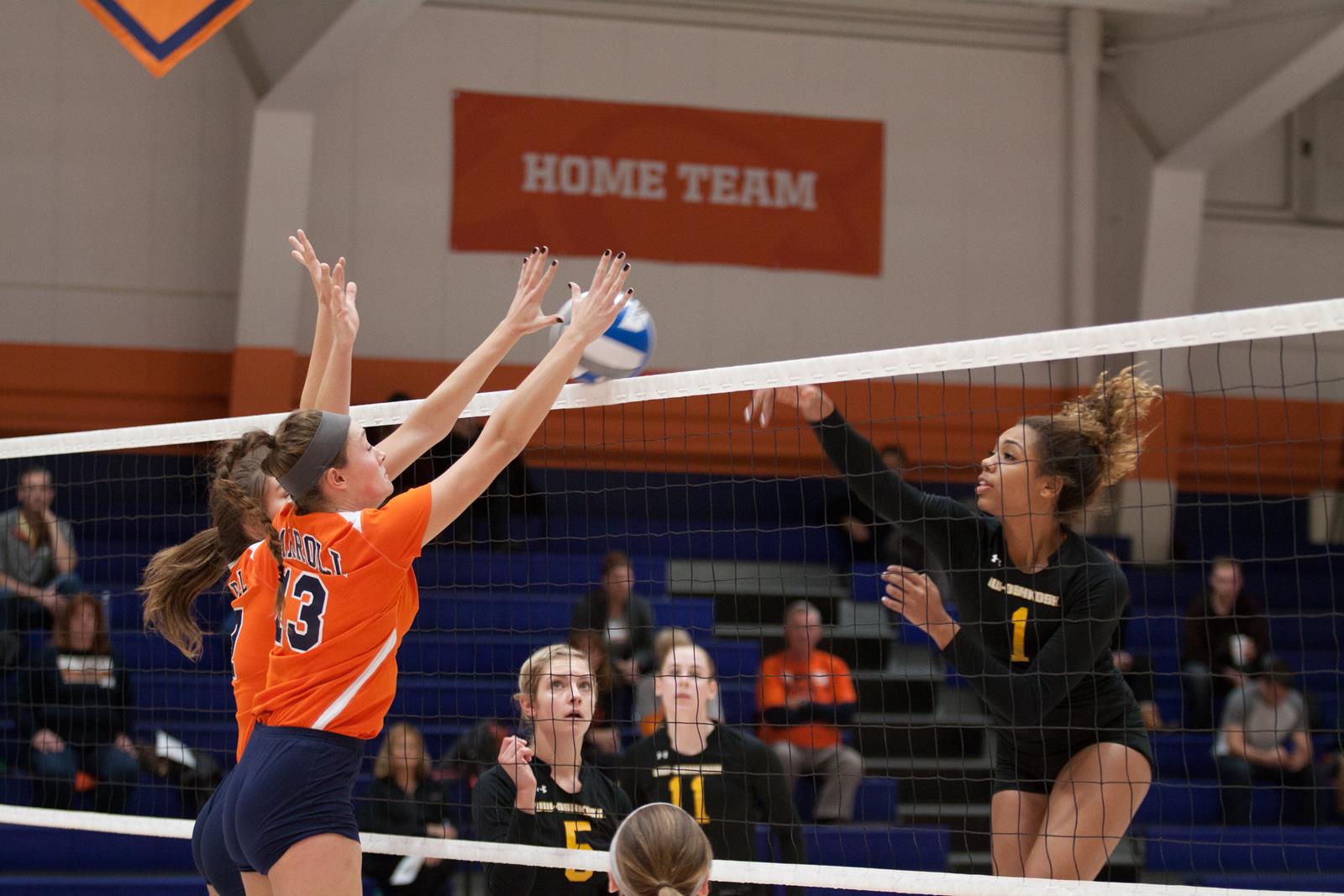 Karley Wolf - 2018 - Women's Volleyball - Carroll University Athletics