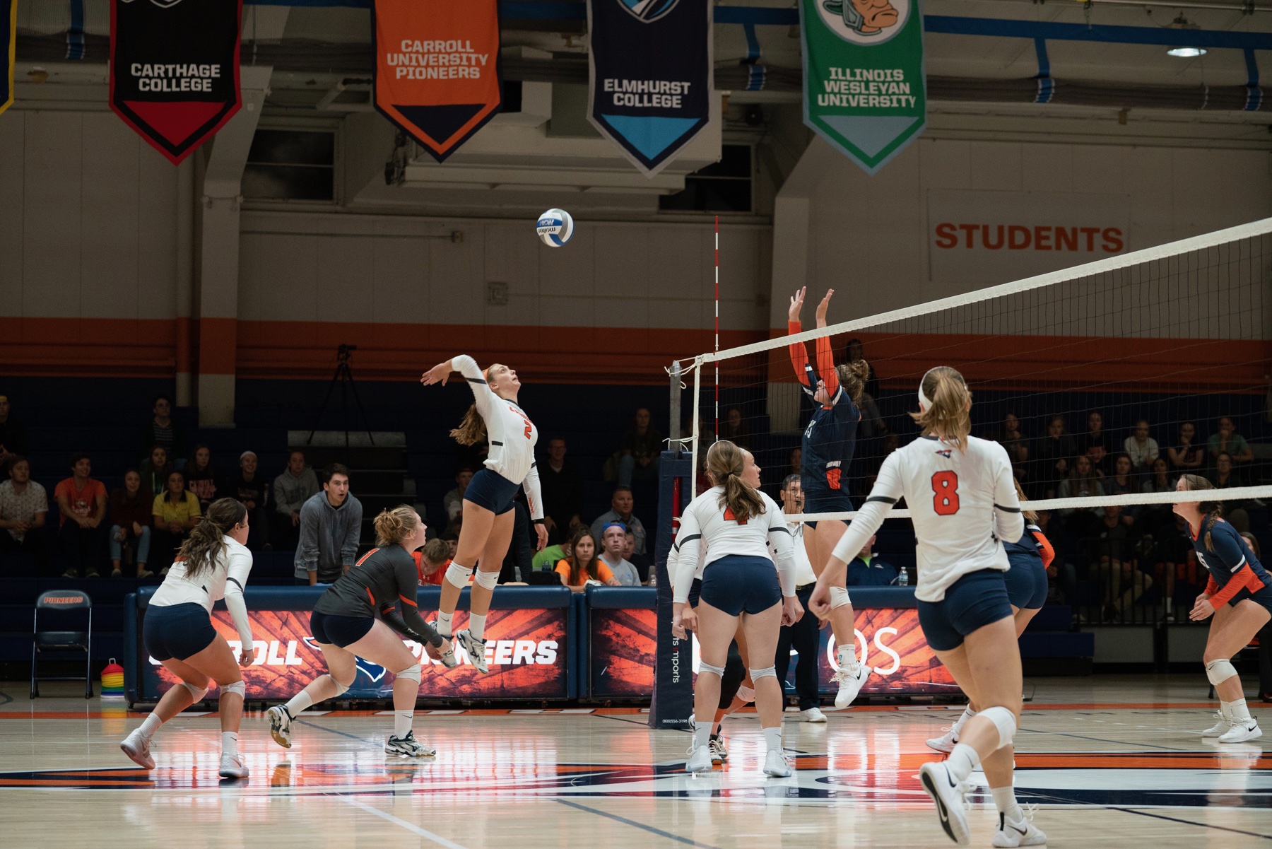 Cassidy Mrotek - 2019 - Women's Volleyball - Carroll University Athletics
