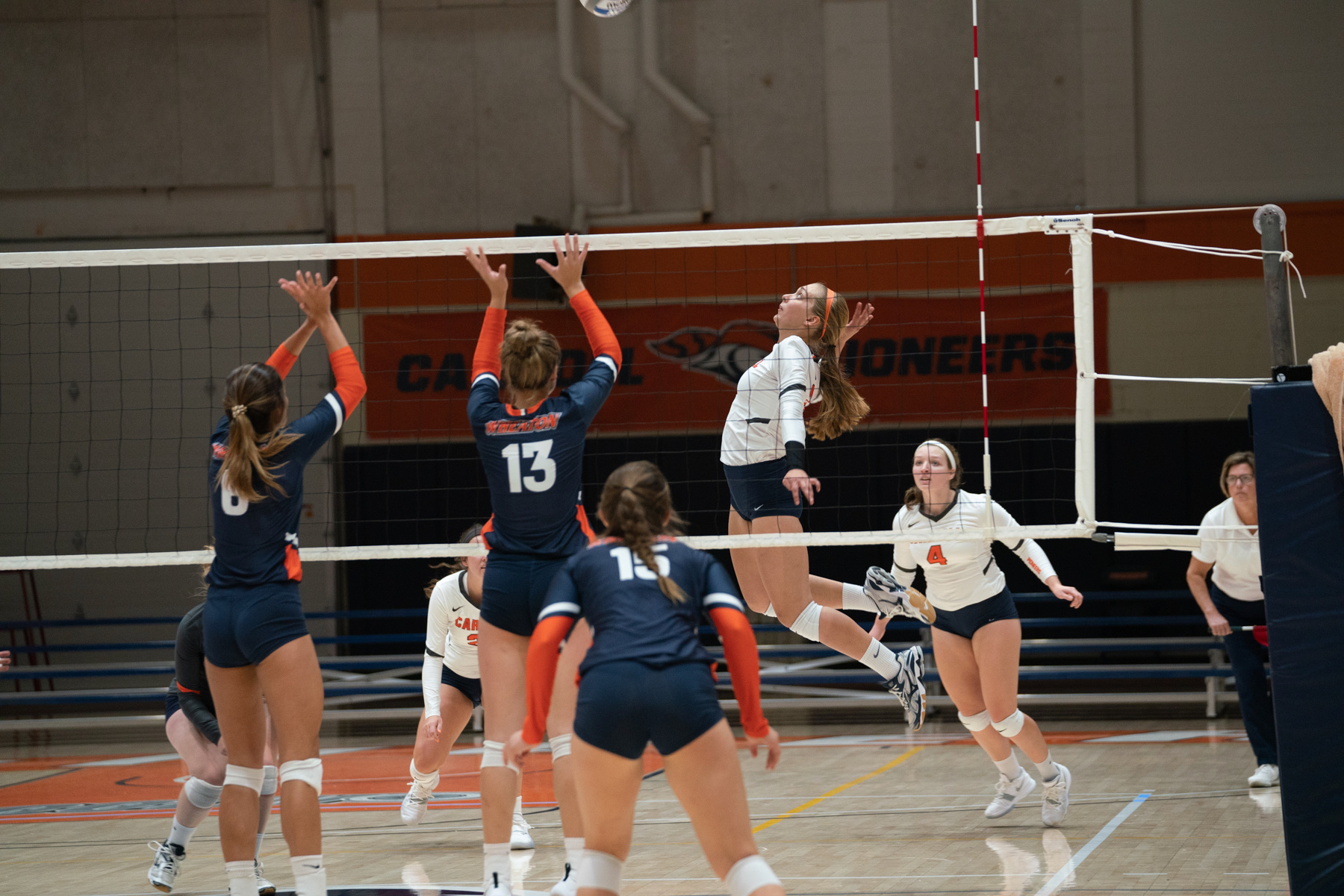 Cassidy Mrotek - 2019 - Women's Volleyball - Carroll University Athletics