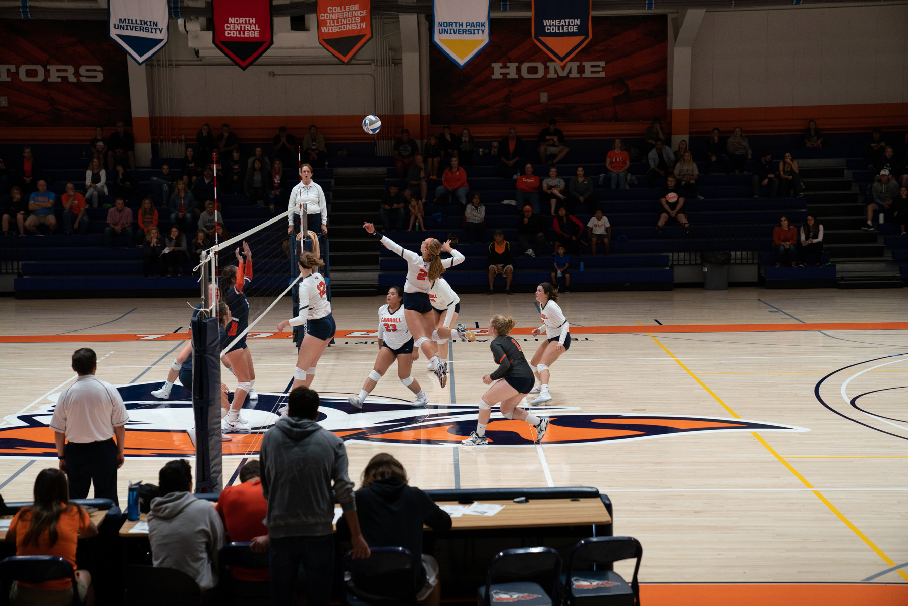 Cassidy Mrotek - 2019 - Women's Volleyball - Carroll University Athletics