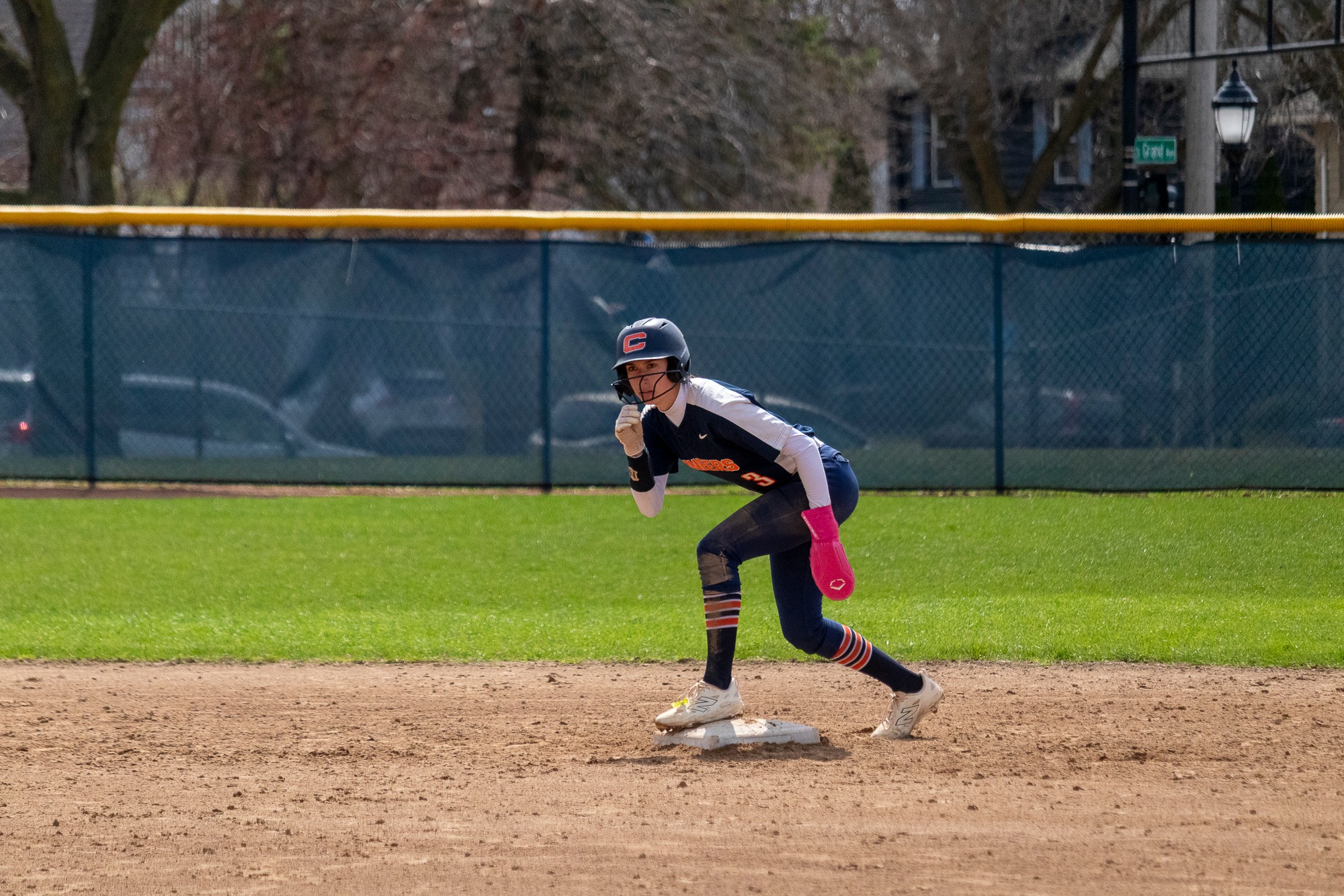 Carroll Selects Ericka Hess As Head Softball Coach - Carroll University ...