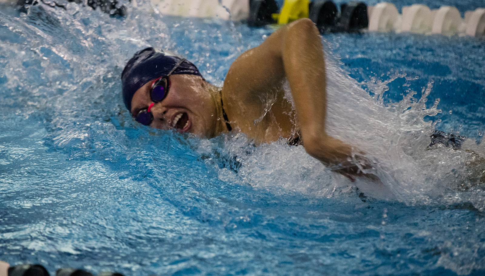 CWRU Swimming Wraps-Up Competition at the Midwest Invitational - CWRU ...