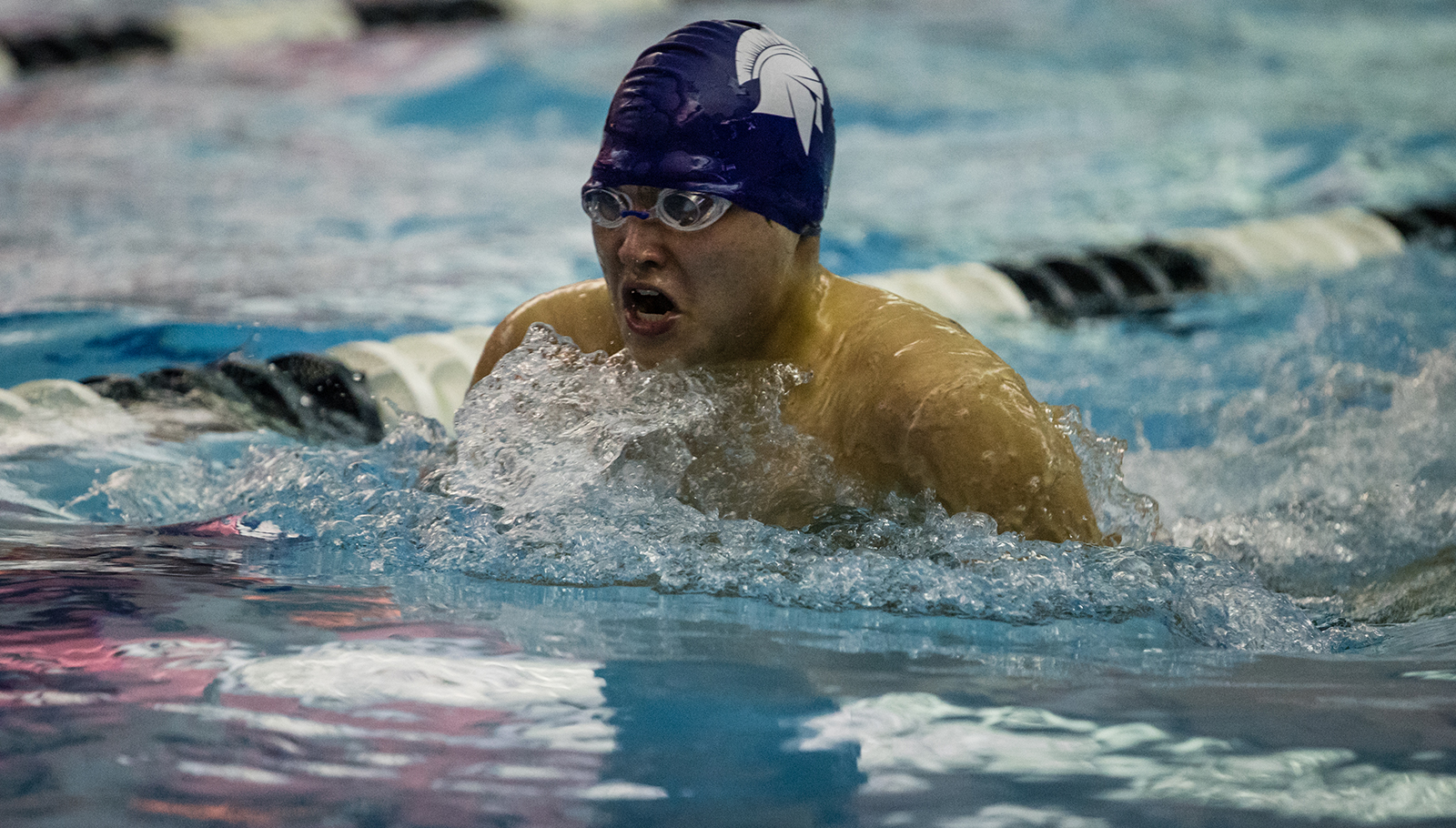 CWRU Swimming Wraps-Up Competition at the Midwest Invitational - CWRU ...