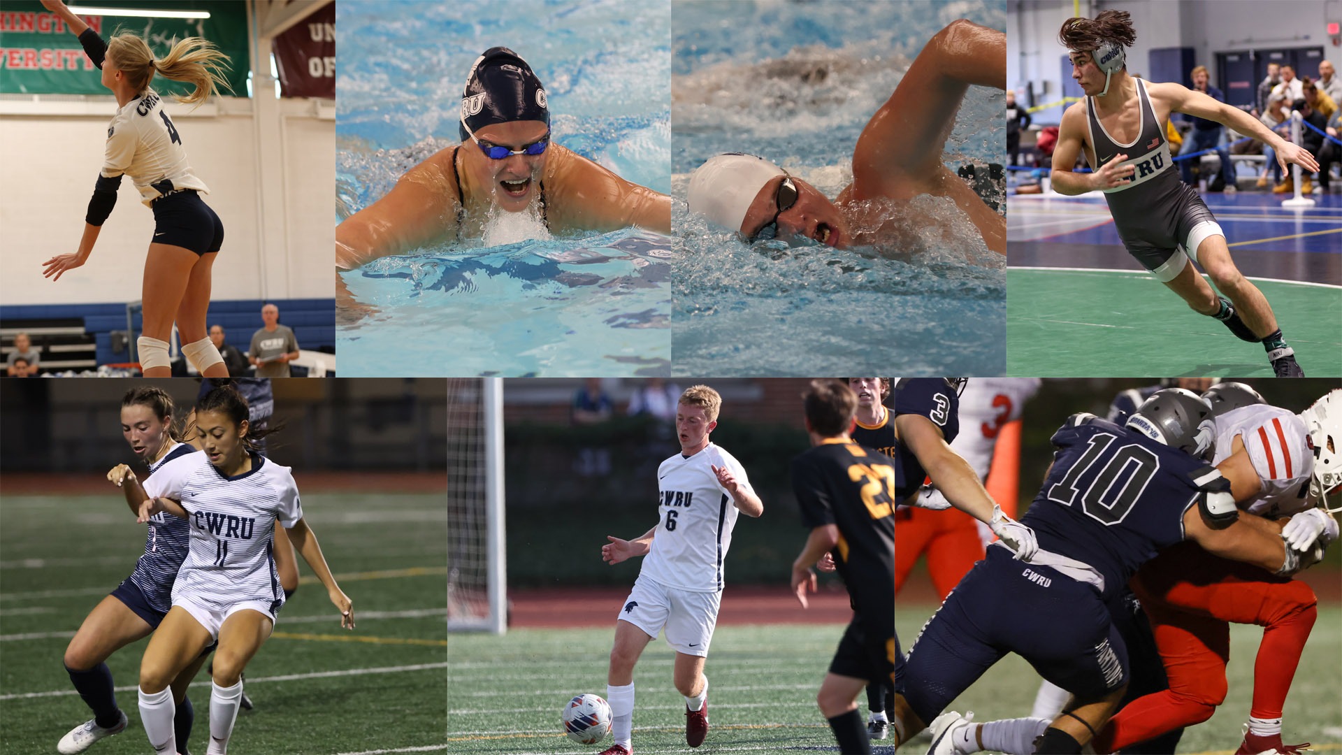 Emma Guarnieri - 2023-24 - Women's Swimming and Diving - CWRU Athletics