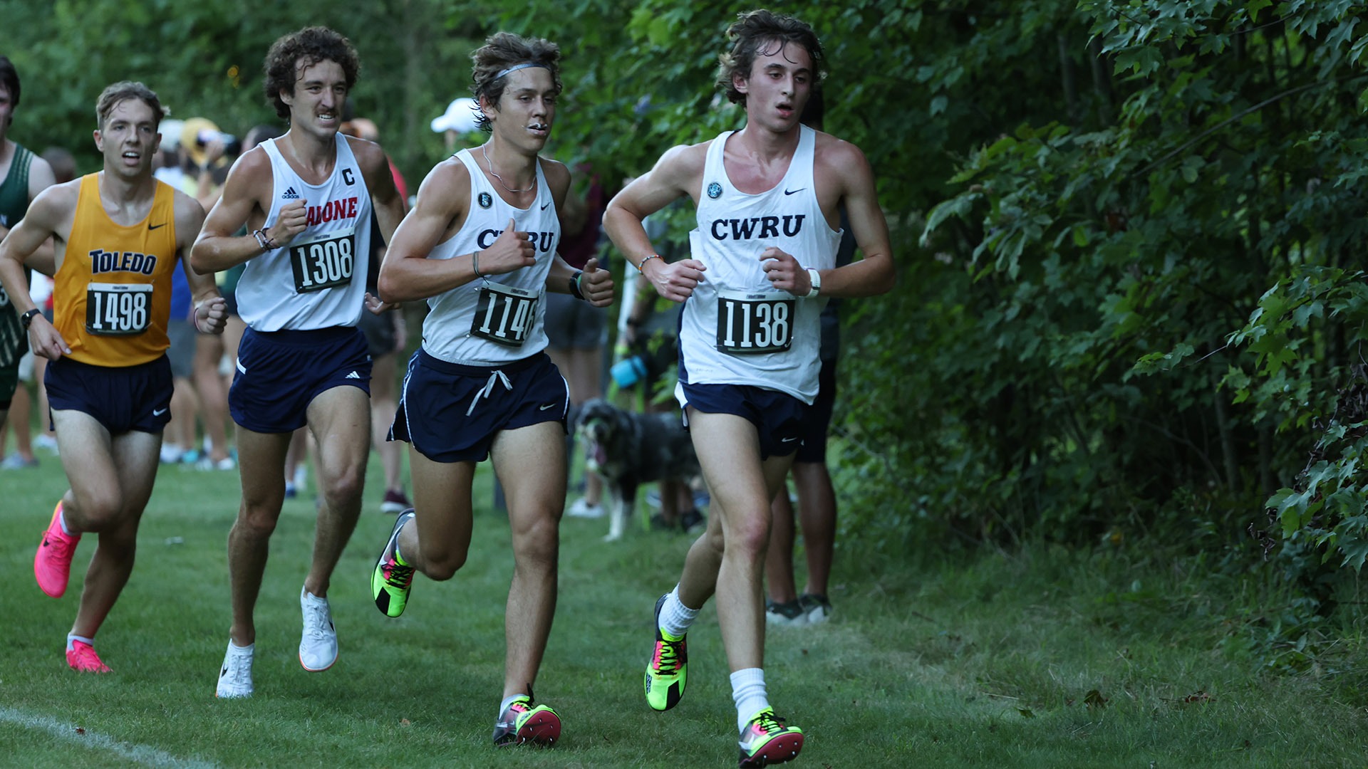 CWRU Men’s XC Places 5th at Regionals; Henry & Gilbert Earn All-Region ...
