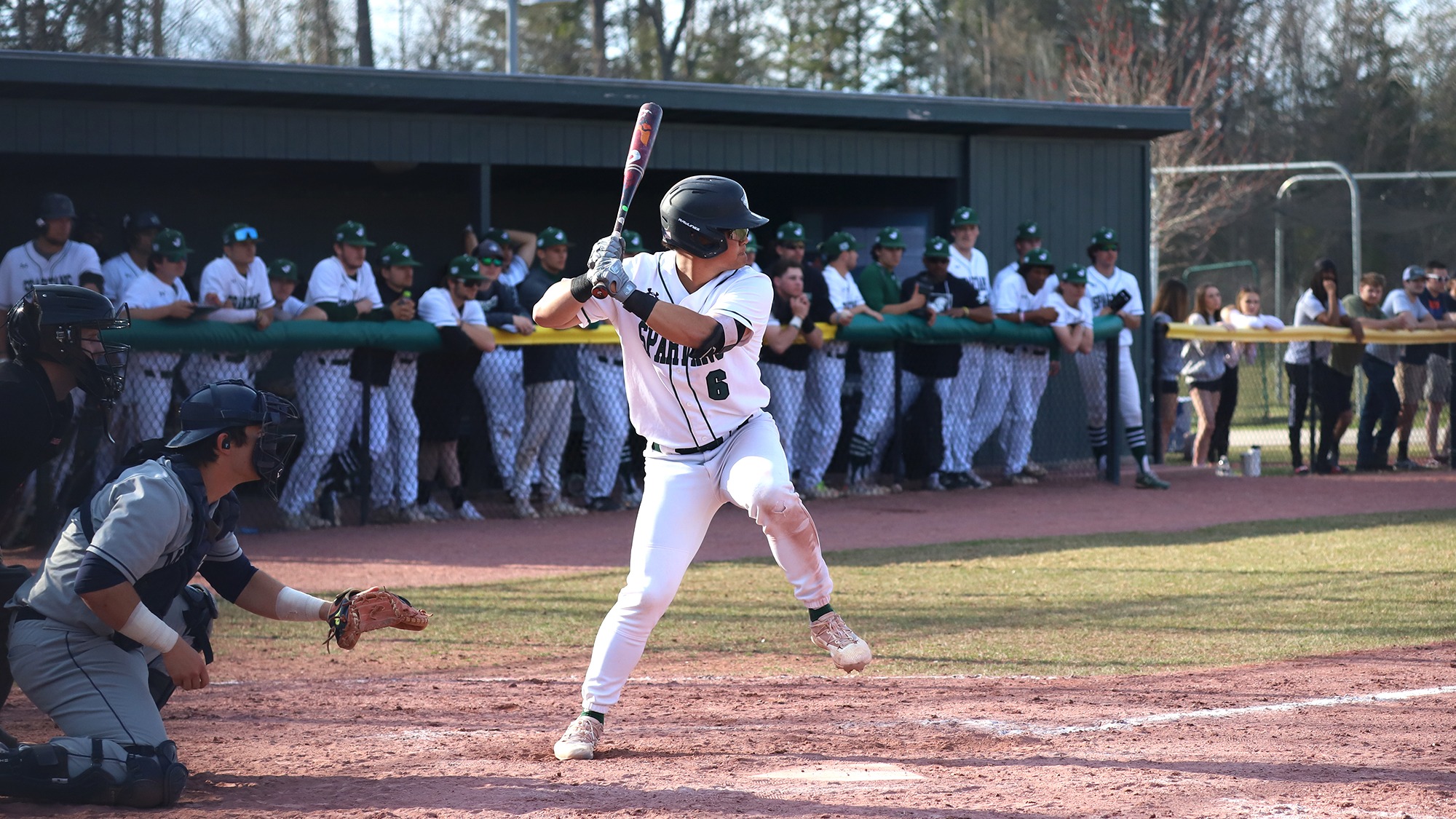 Reece de Castro - 2023 - Baseball - Vermont State University Castleton