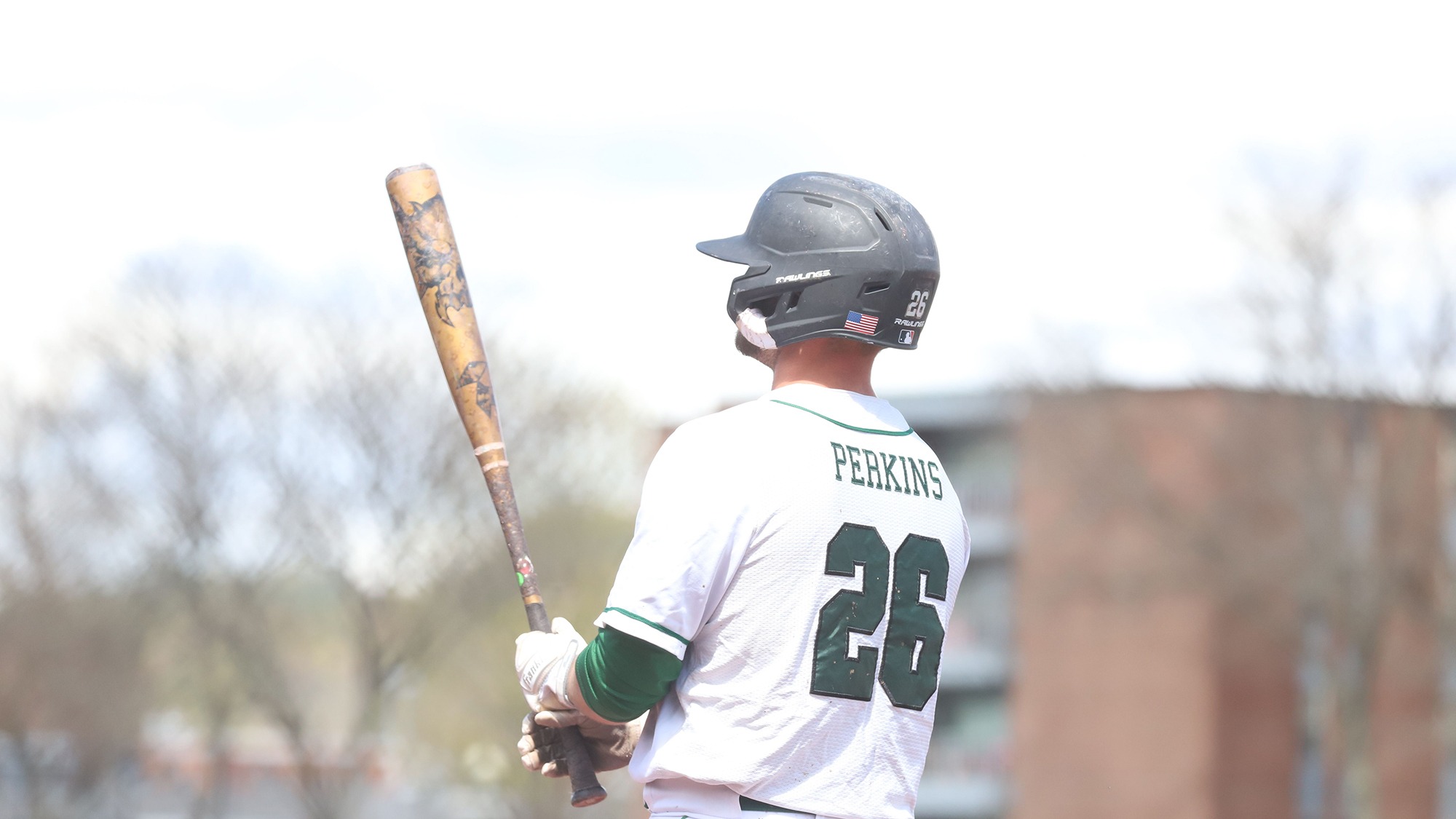 Baseball Falls Short to the Lions, 9-5 - Vermont State University Castleton