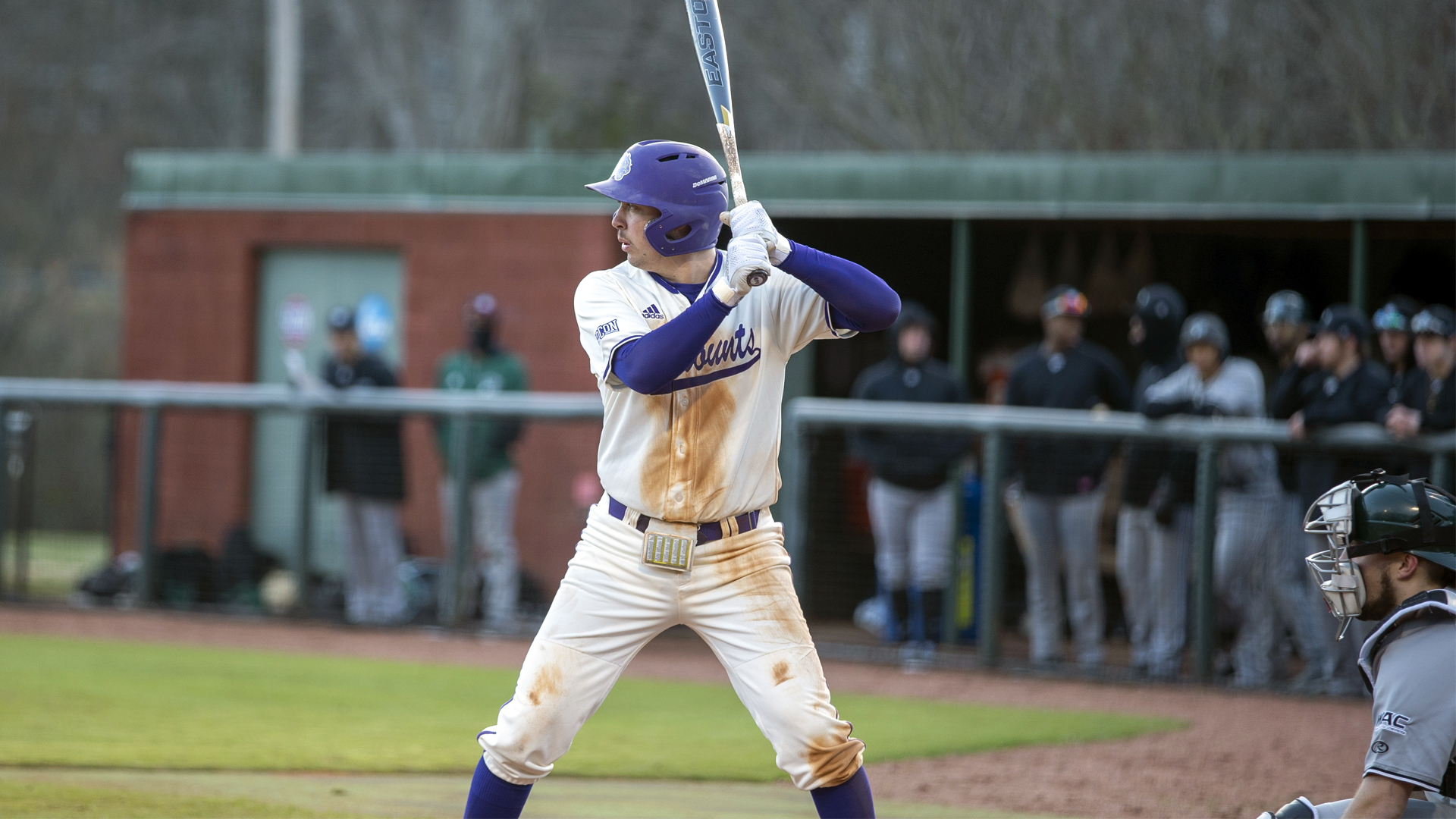 Angel Torres - 2020 - Baseball - Western Carolina University