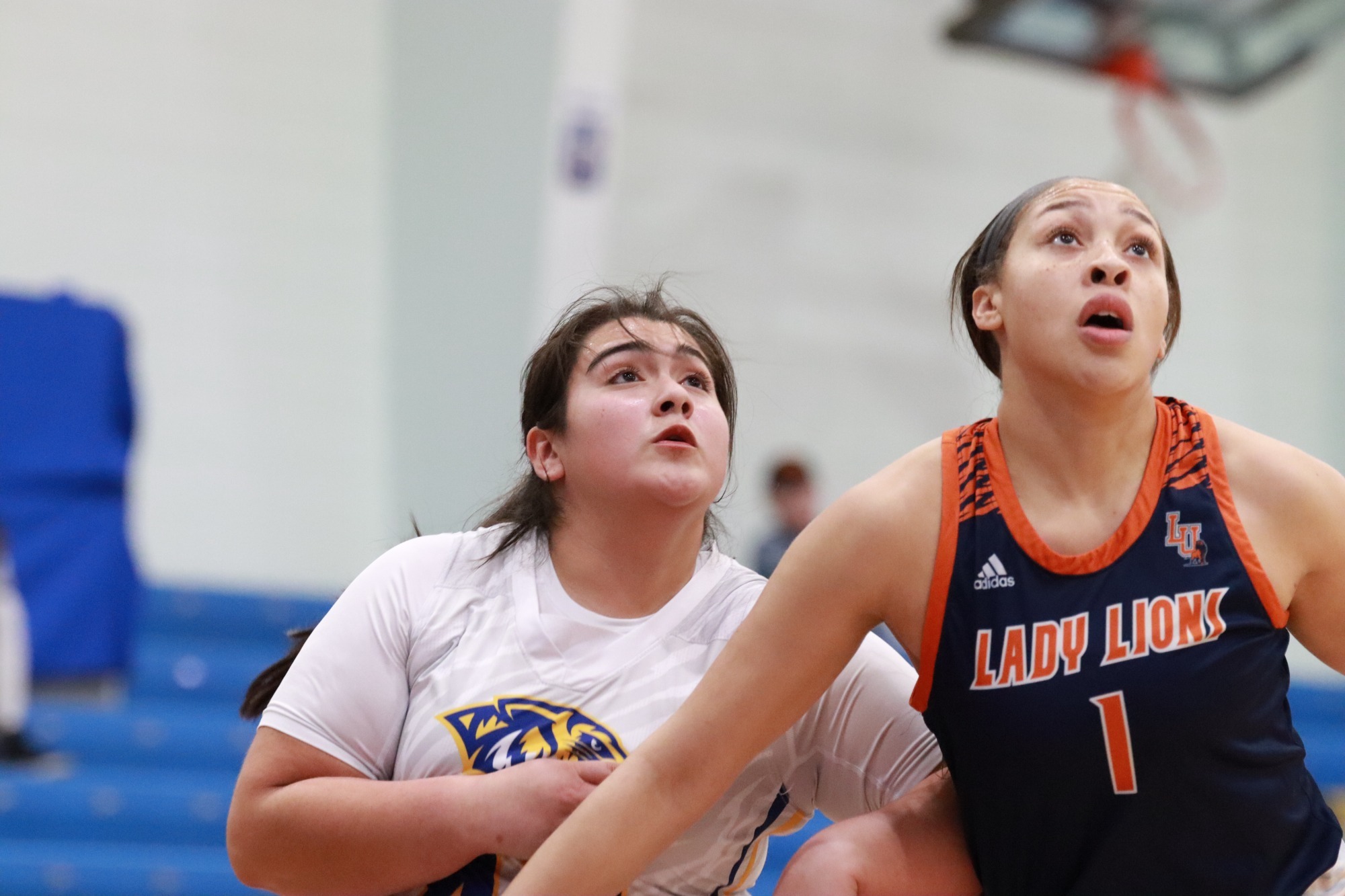 Abigail Contreras - 2022-23 - Women's Basketball - Central Christian ...