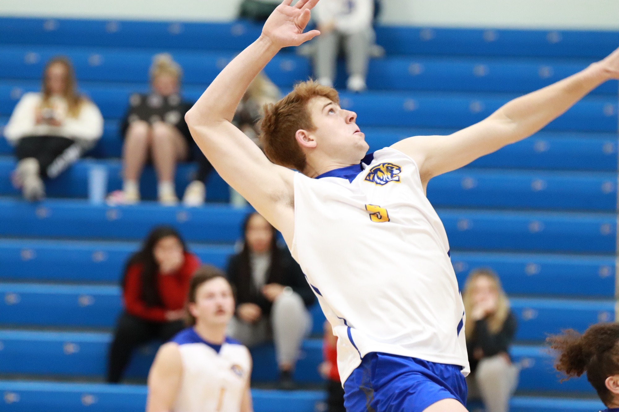 Nick Arenare - 2023 - Men's Volleyball - Central Christian College of ...