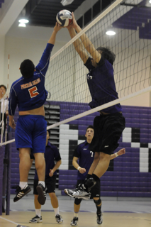 Jose Castillo - 2013 - Men's Volleyball - The City College of New York ...
