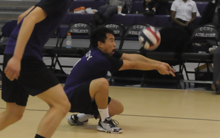 Jose Castillo - 2013 - Men's Volleyball - The City College of New York ...
