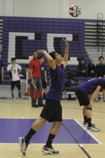 Jose Castillo - 2013 - Men's Volleyball - The City College of New York ...
