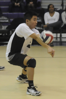 Jose Castillo - 2013 - Men's Volleyball - The City College of New York ...