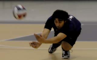 Jose Castillo - 2013 - Men's Volleyball - The City College of New York ...