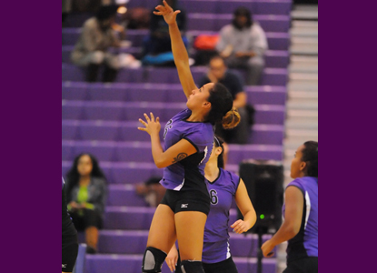 Zuleyka Polanco - 2011 - Women's Volleyball - The City College of New ...